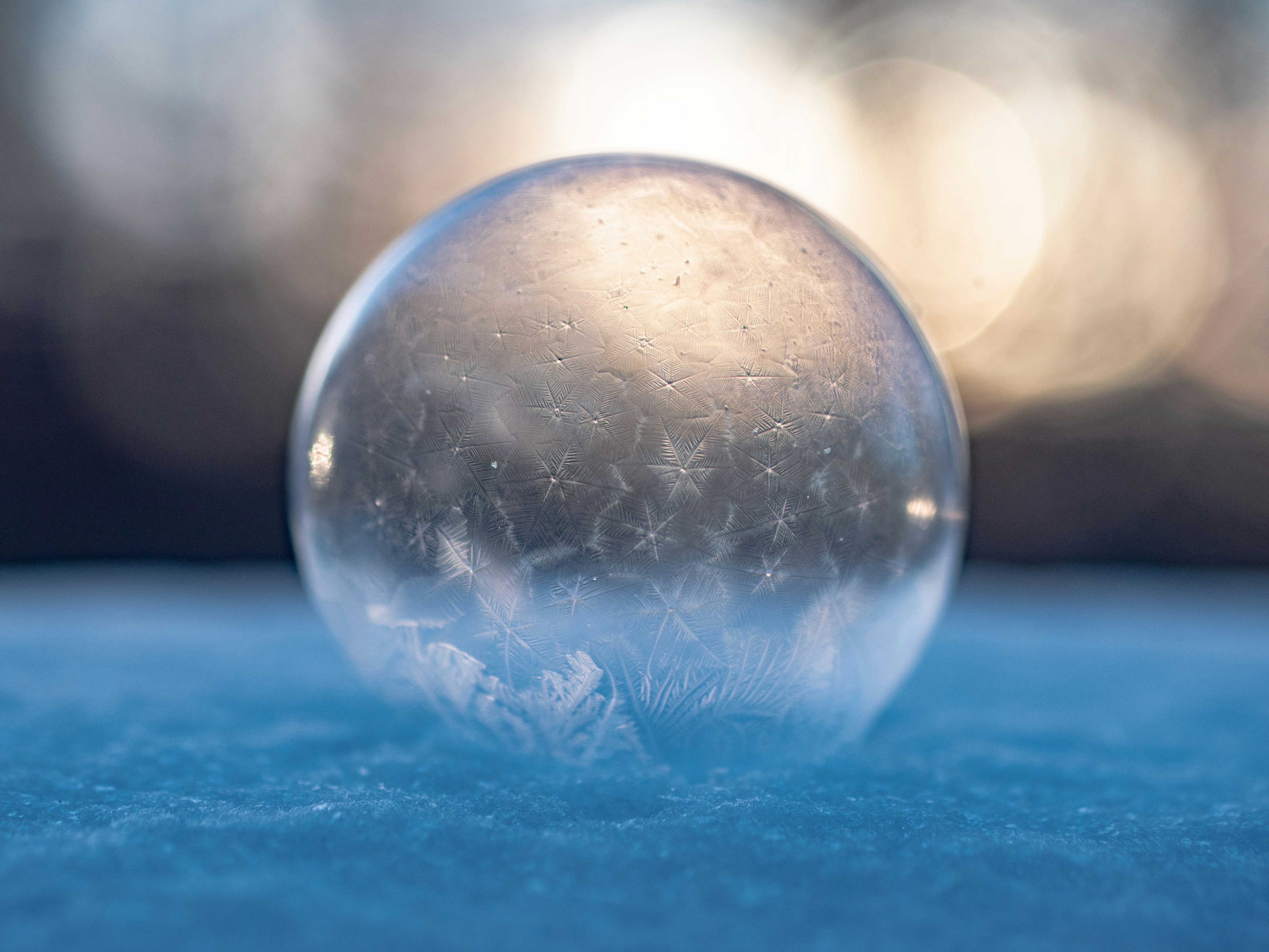 500+ Sphere Pictures | Download Free Images on Unsplash