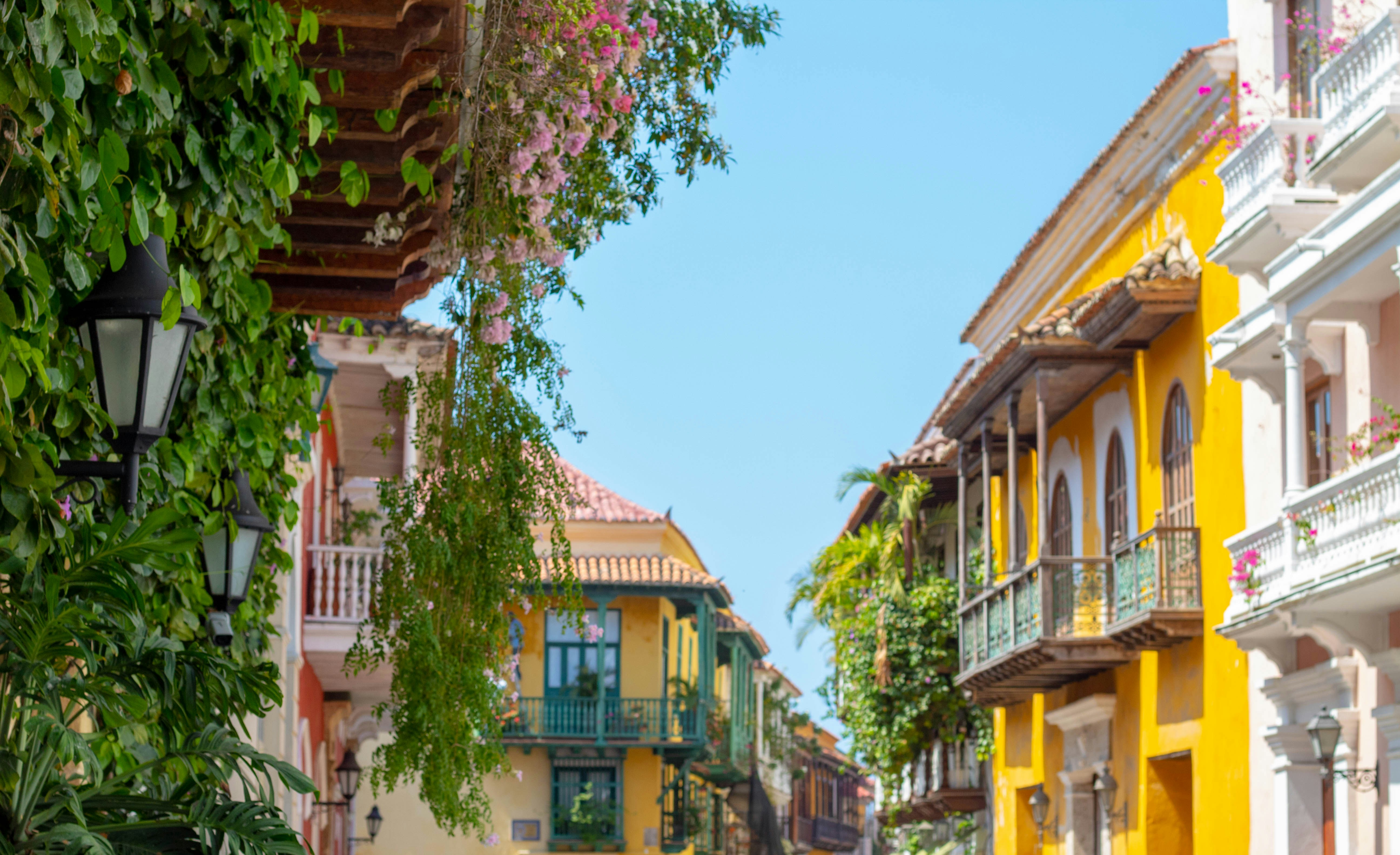 Belén (@belentur) | Unsplash Photo Community