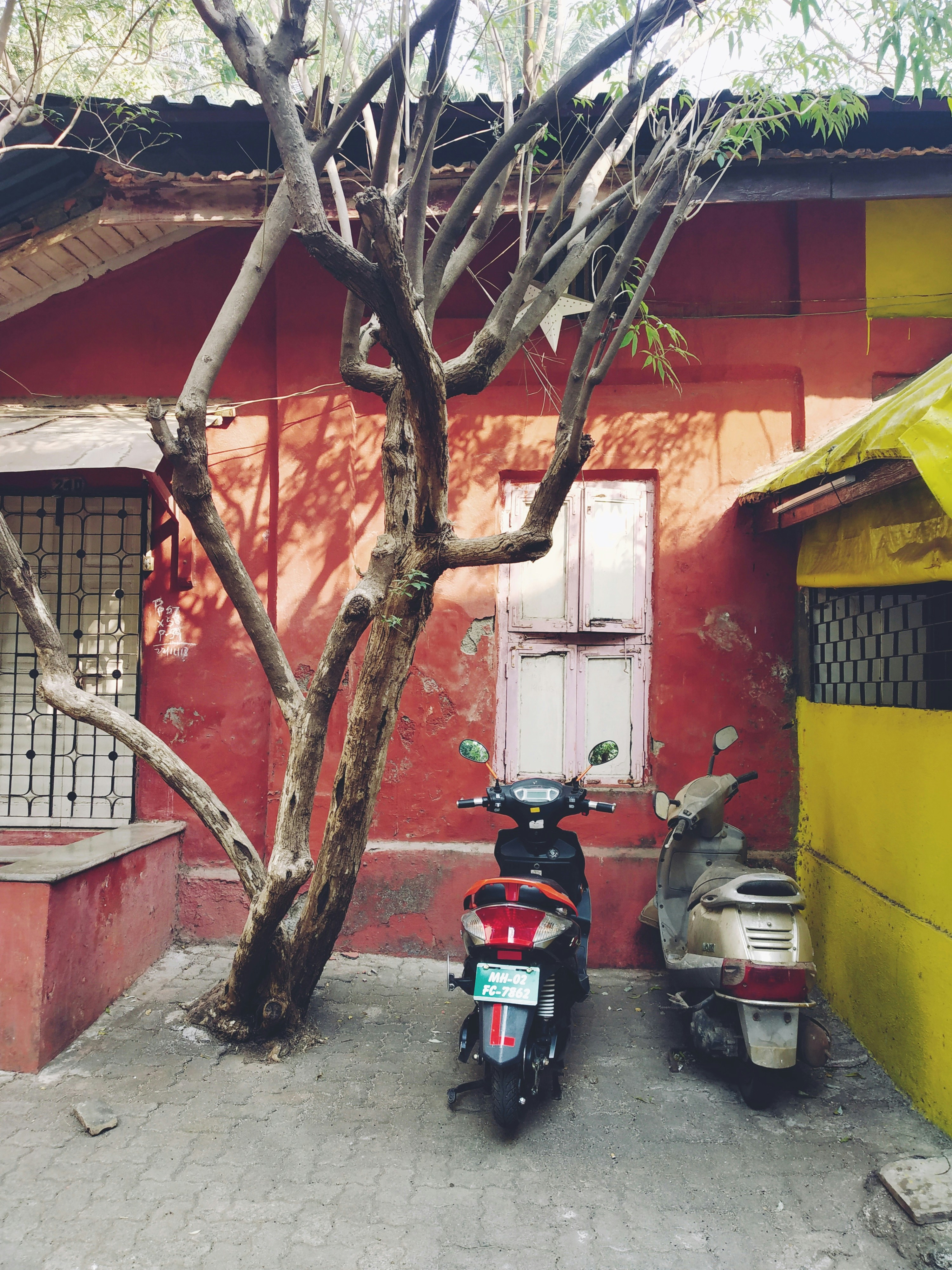 A weathered tree casts shadows on a vibrant red wall, framing two parked scooters in a quaint urban setting.