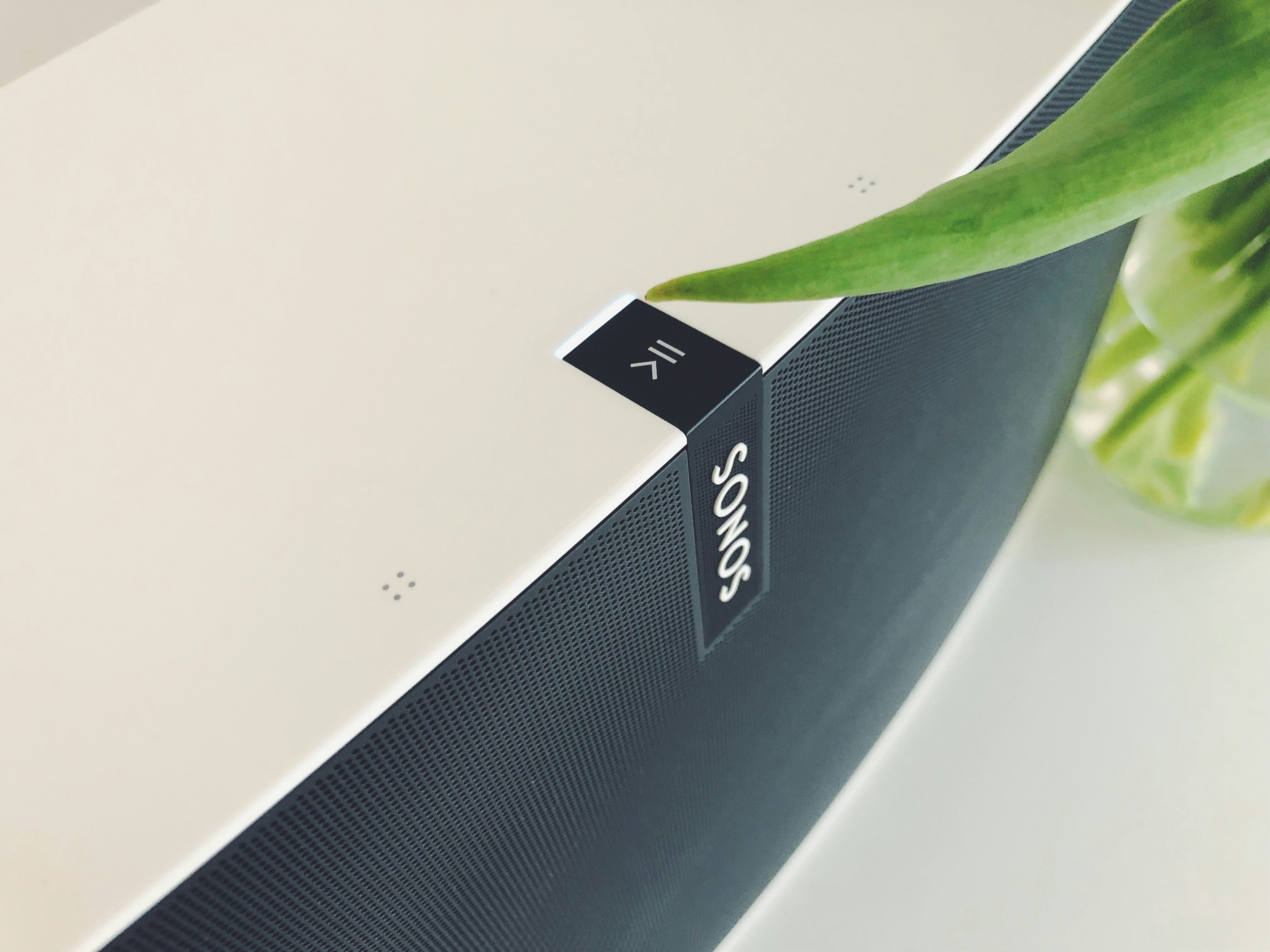 Close-up of a white and black Sonos speaker with a touch of green foliage.