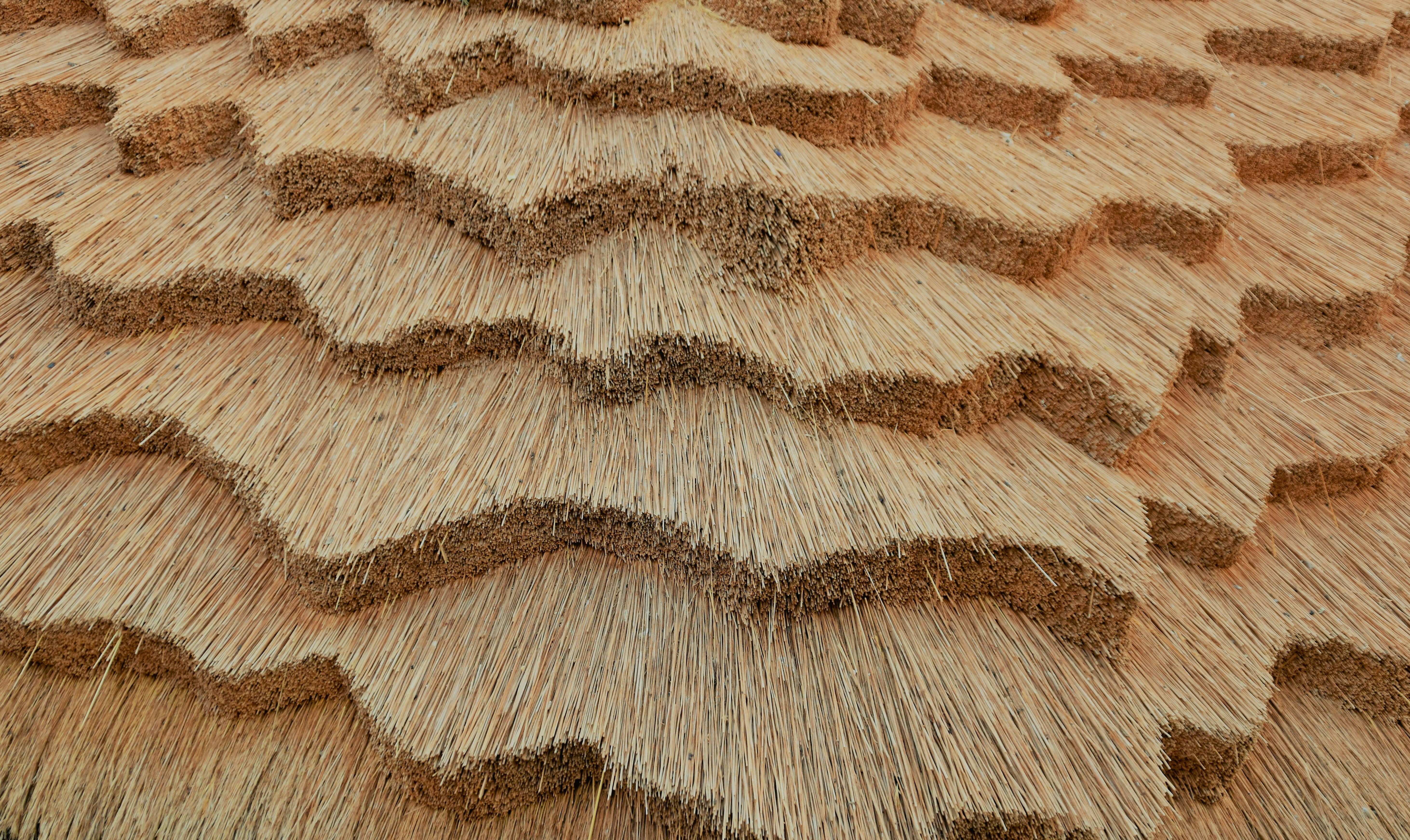 Intricate layers of thatch roofing material displaying a rhythmic wave pattern. The craftsmanship highlights traditional building techniques.