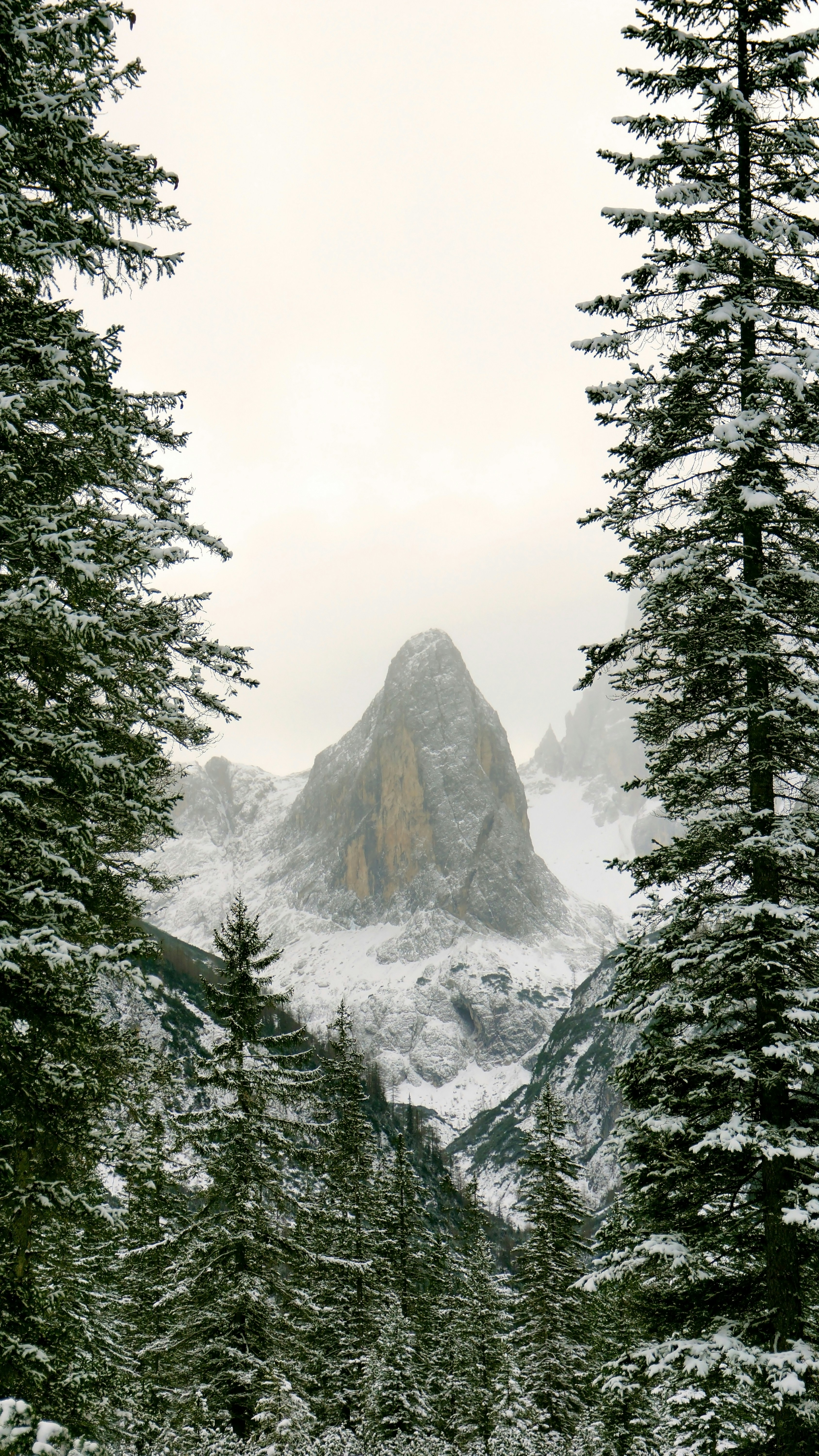 Snow-dusted pine trees frame a towering rock formation under an overcast sky.