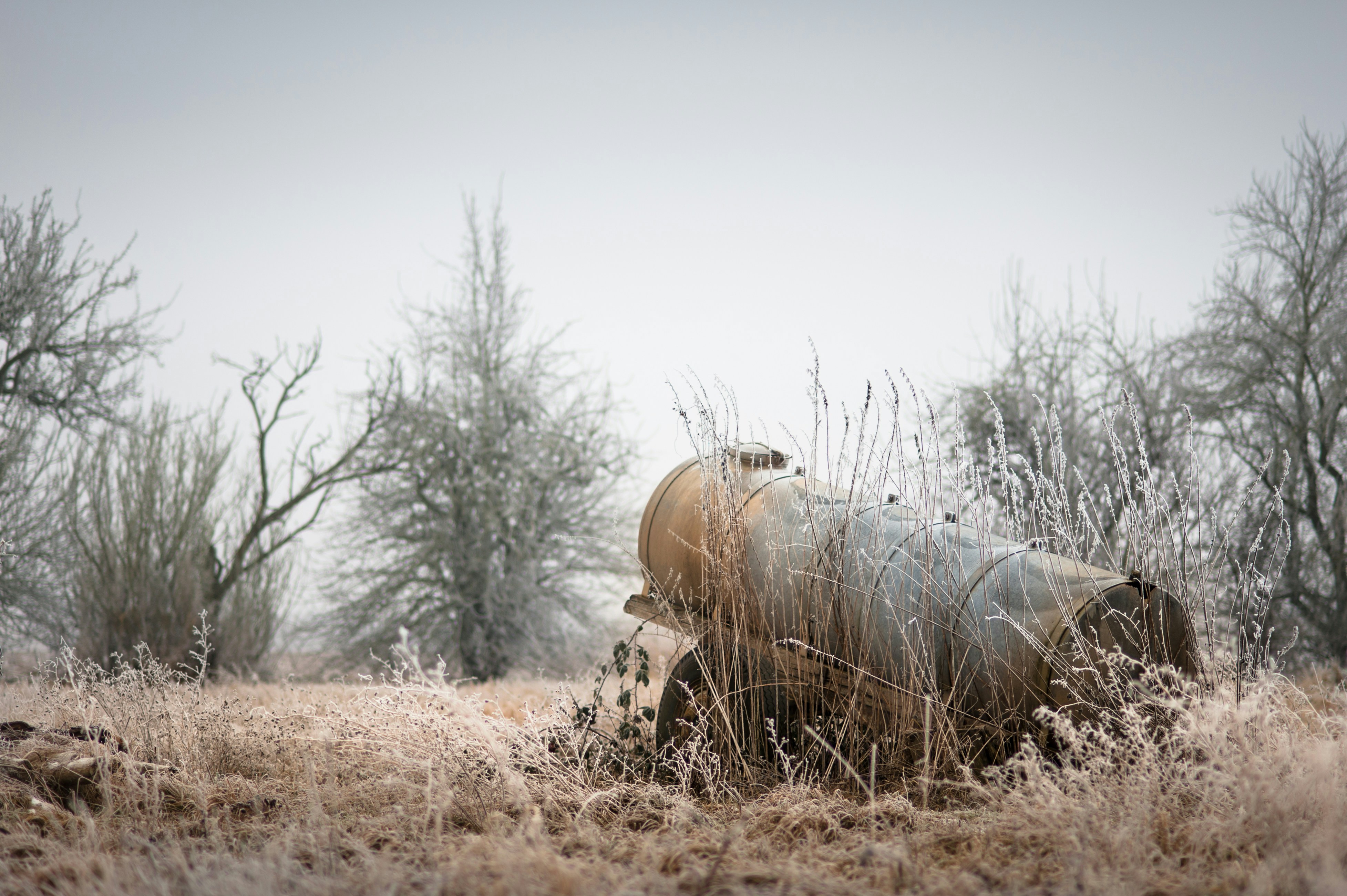 Rusted cylindrical tank lies tilted among frost-kissed grasses with bare trees in the distance. A still-life photograph highlighting an industrial relic resting in a muted winter landscape.