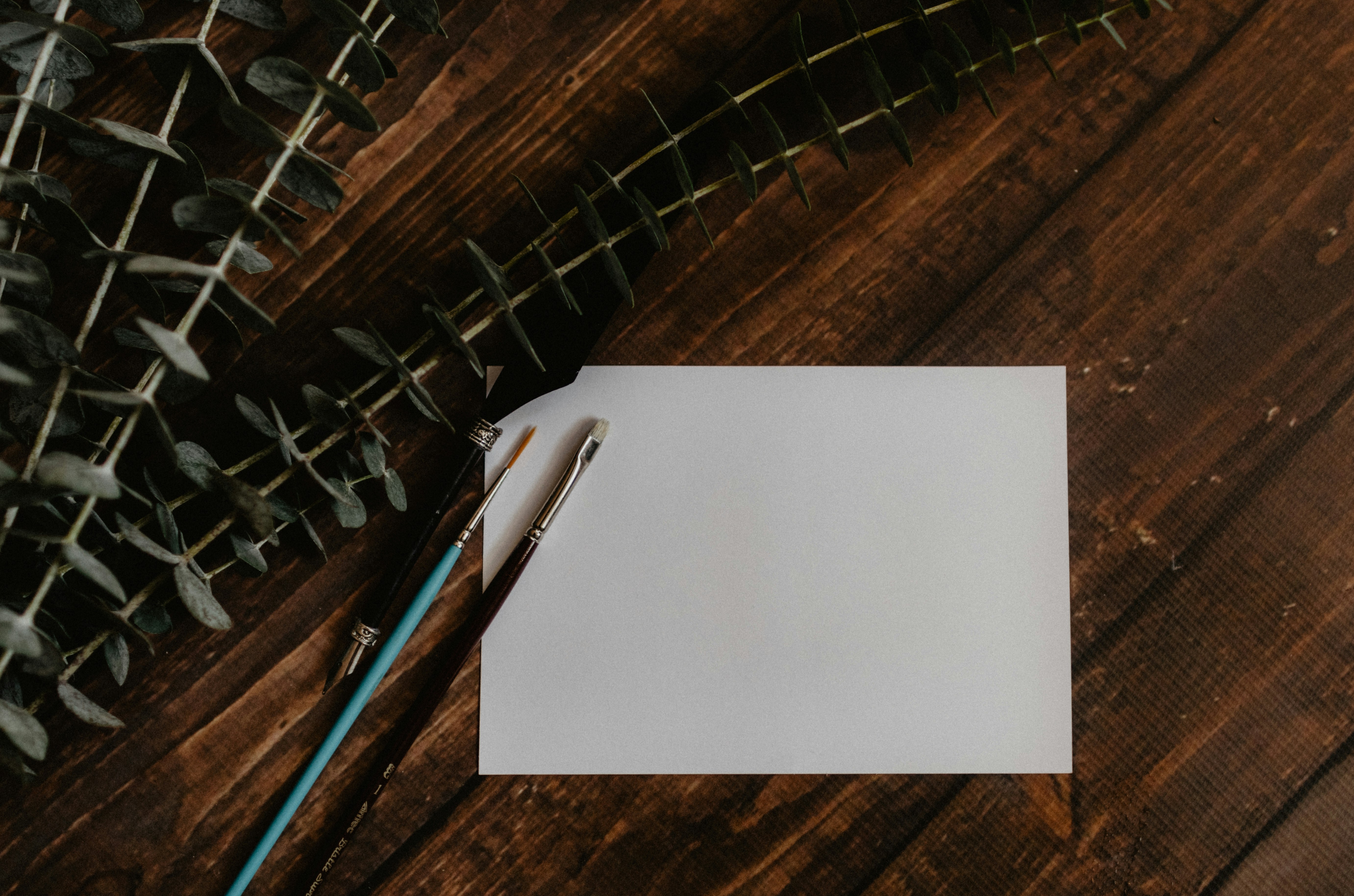 750+ Placeholder Pictures [HD] | Download Free Images on Unsplash