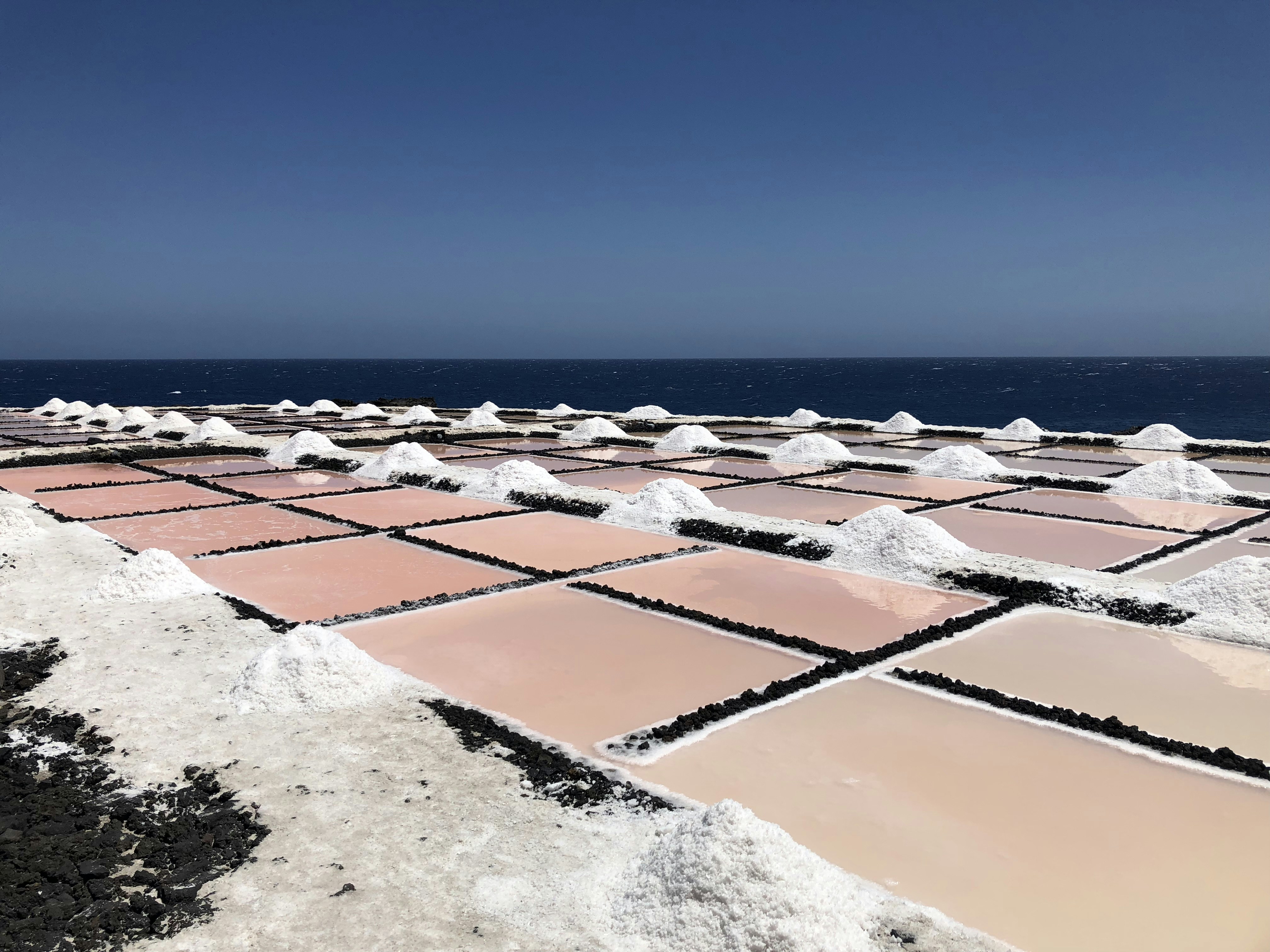 Knuth Waltenberg (@knuthw) | Comunidad de fotos de Unsplash