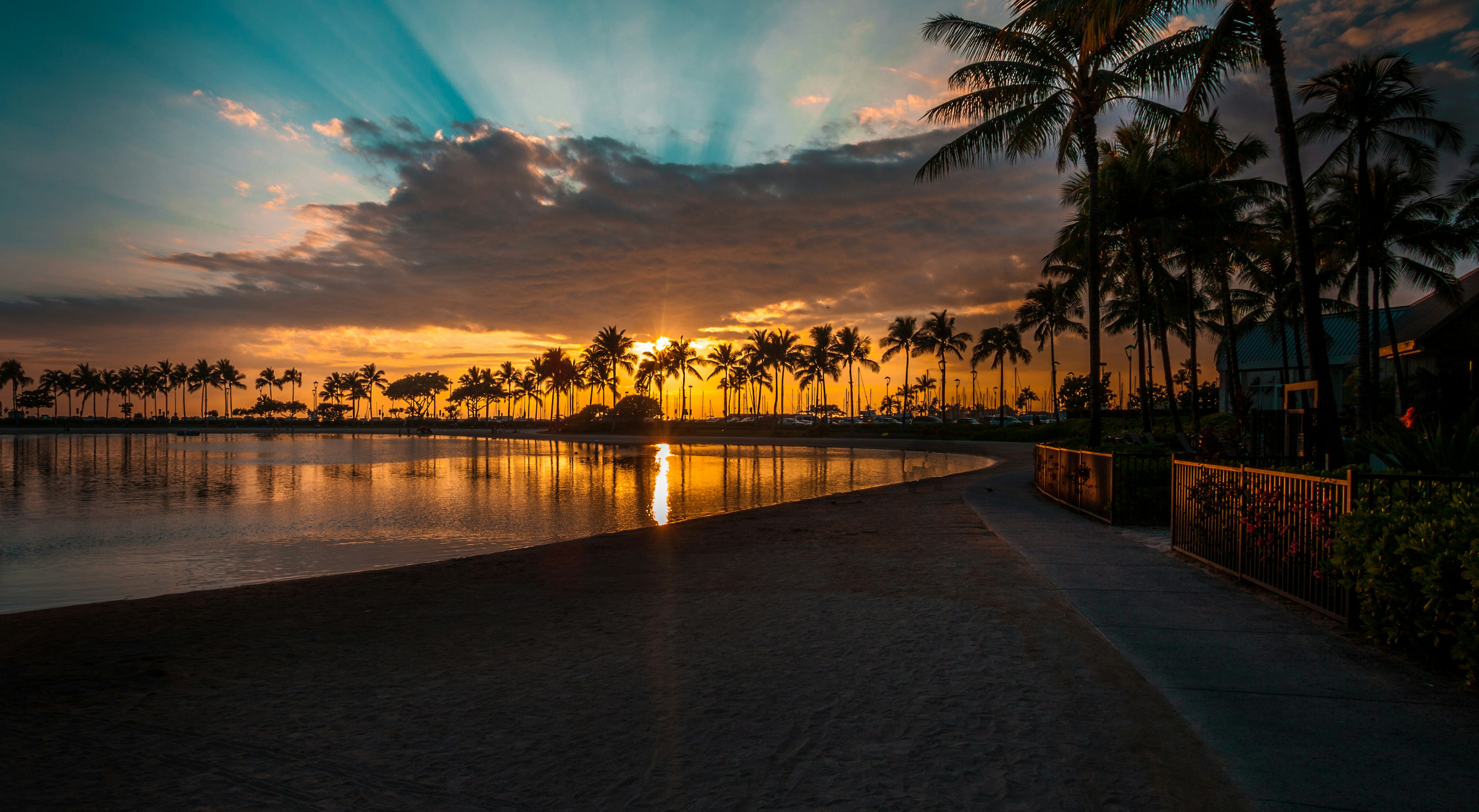 Aloha Pictures | Download Free Images on Unsplash