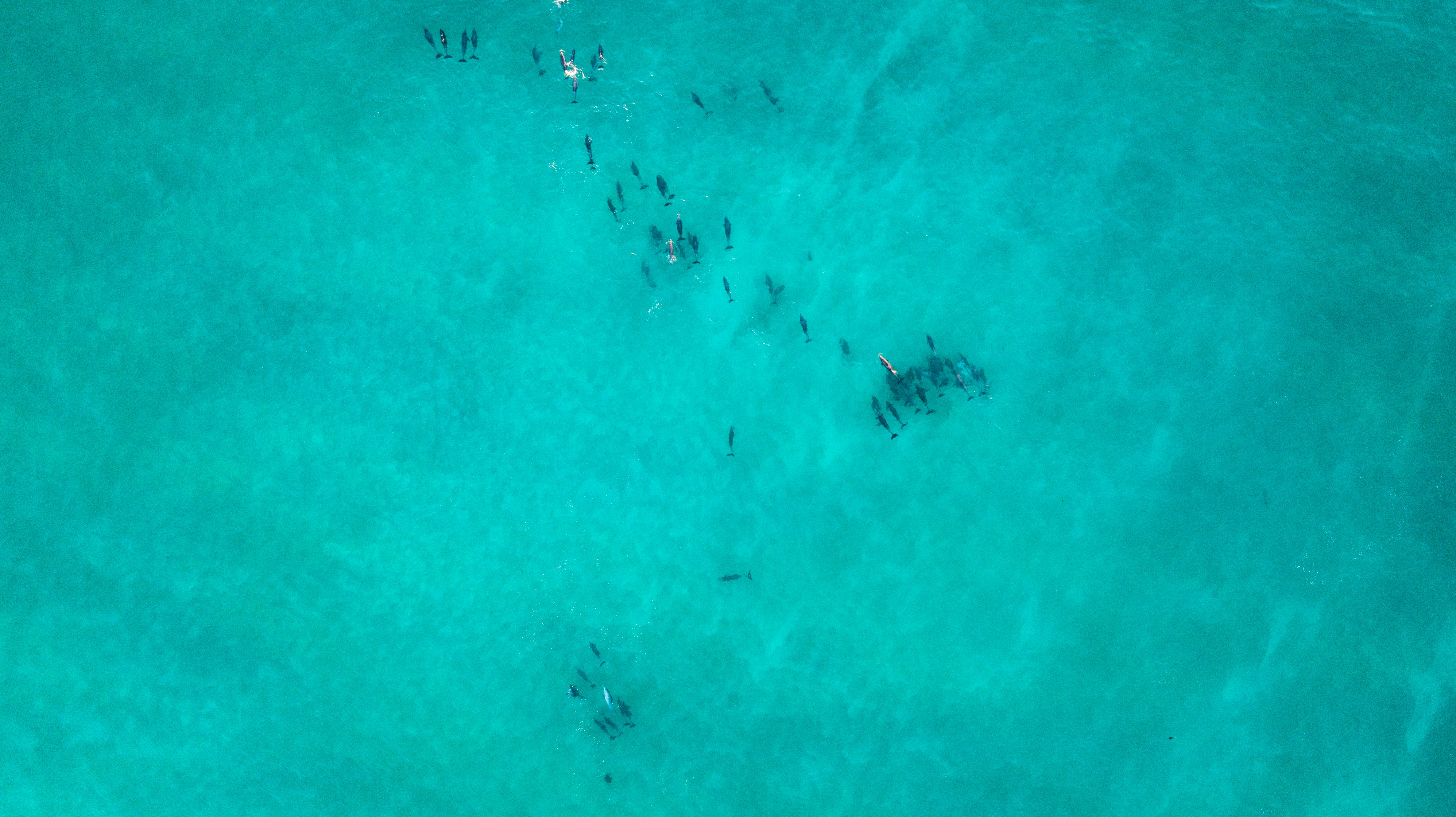 Yeux Bleus Rauque Photos | Télécharger des images gratuites sur Unsplash