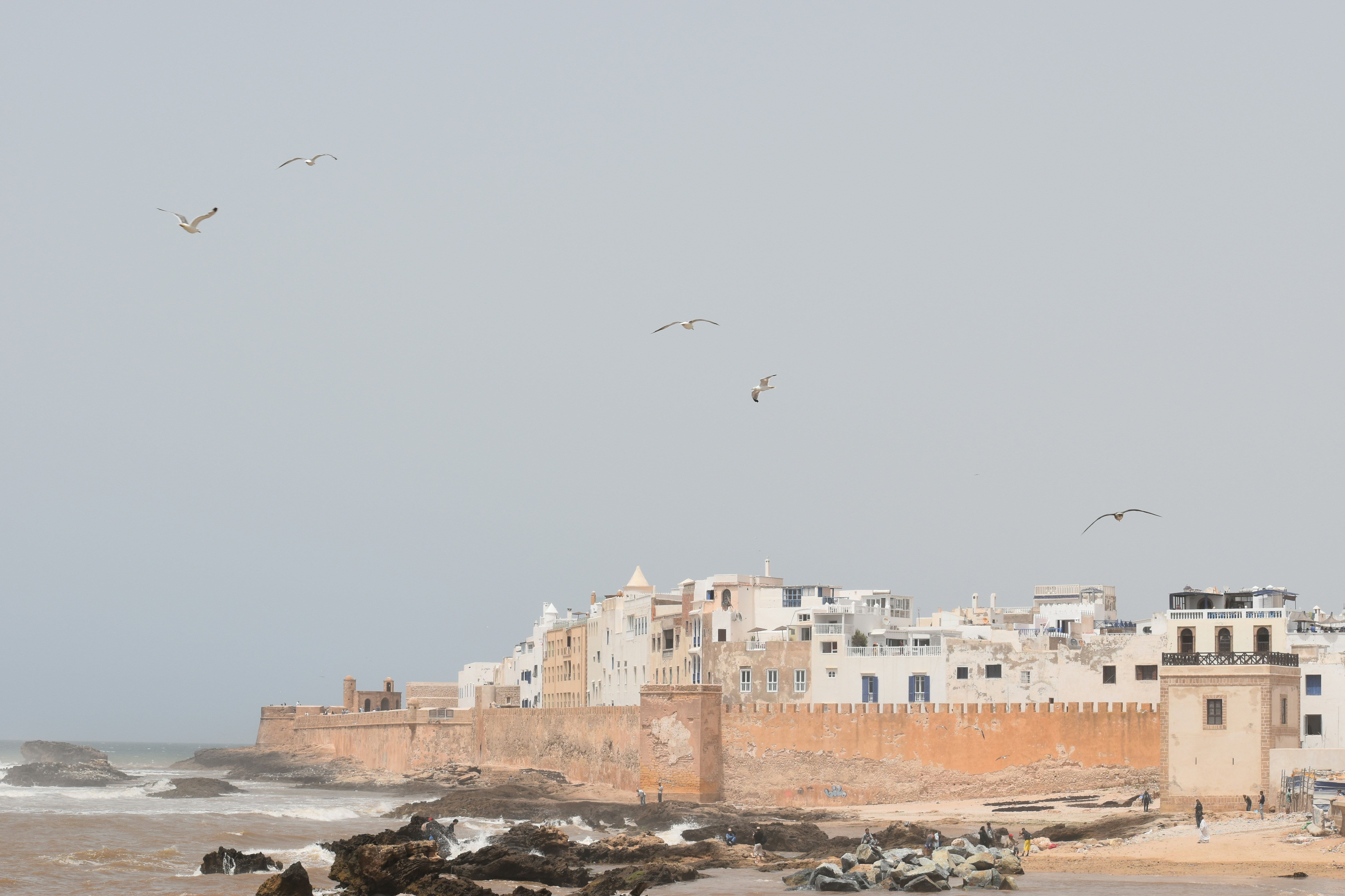 Seaside Citadel: Whitewashed Ramparts Guard a Quiet Atlantic Morning
