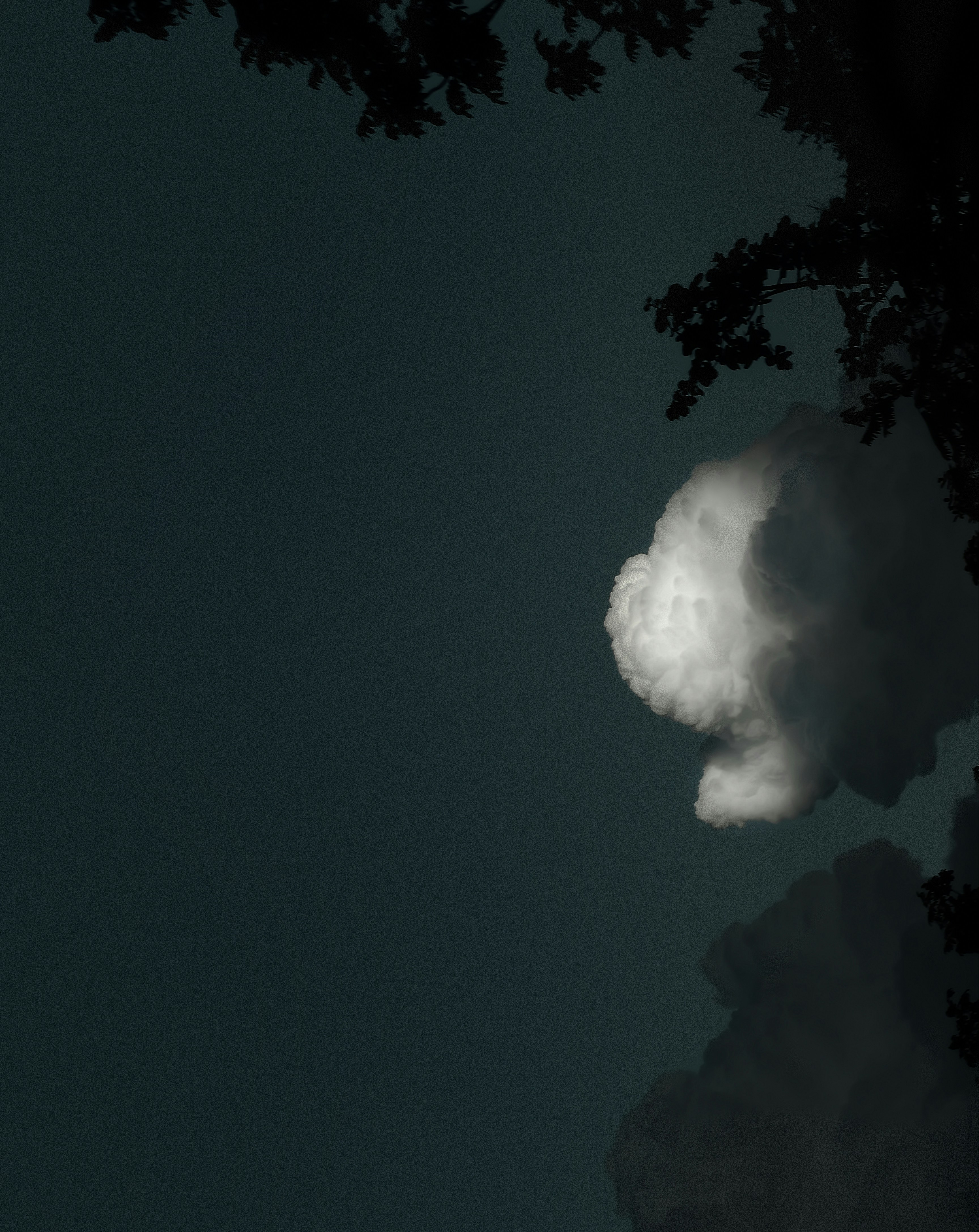 Dark, teal-tinged sky with a bright cumulus cloud on the right, framed by silhouetted tree branches at the top edge.