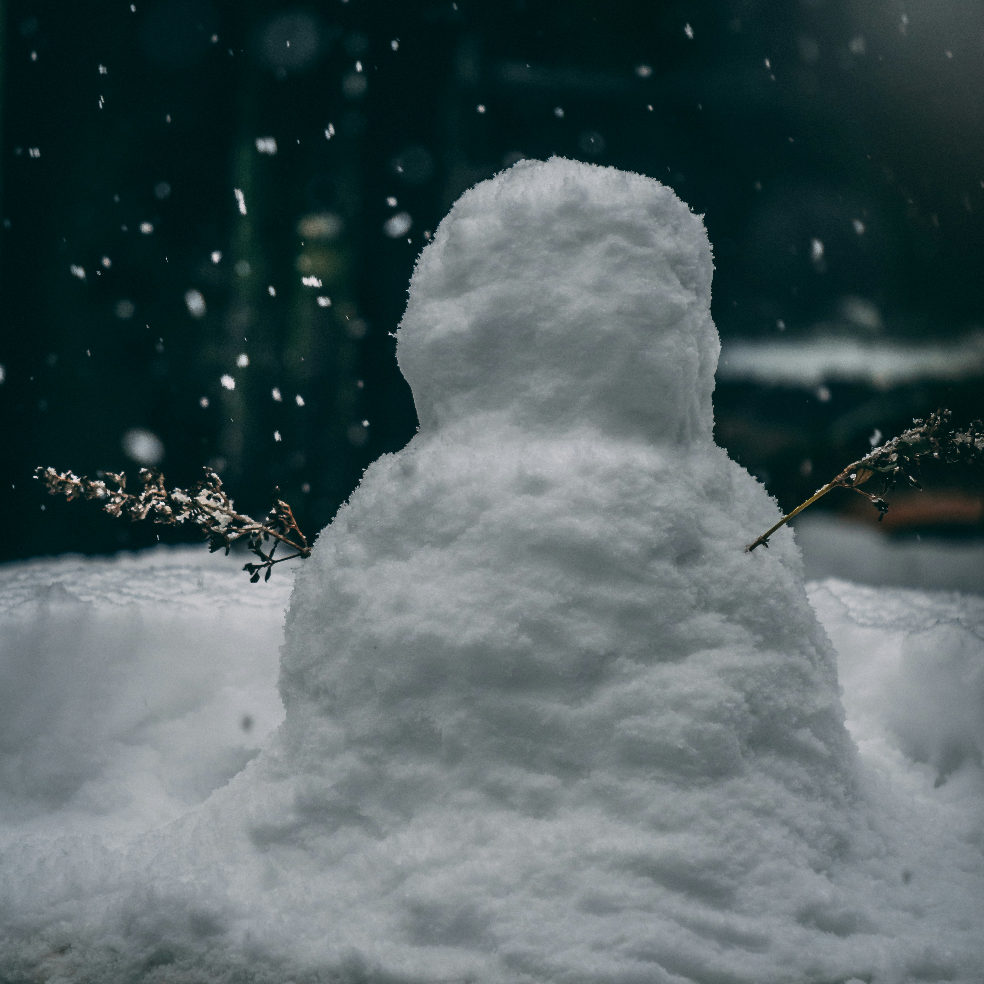 750+ Snowman Pictures | Download Free Images on Unsplash