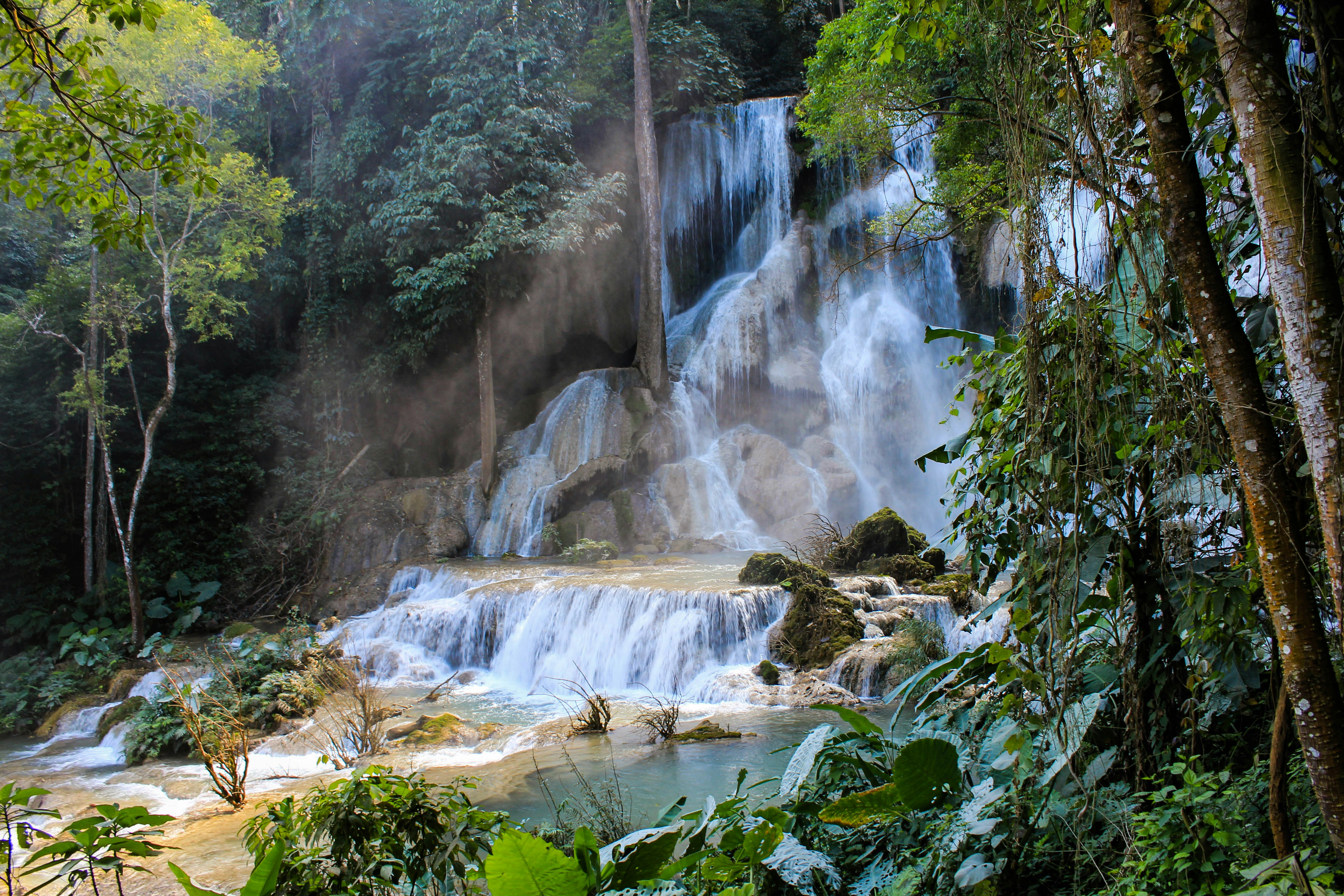 Waterfalls neartrees durng daytime photo – Free Nature Image on Unsplash