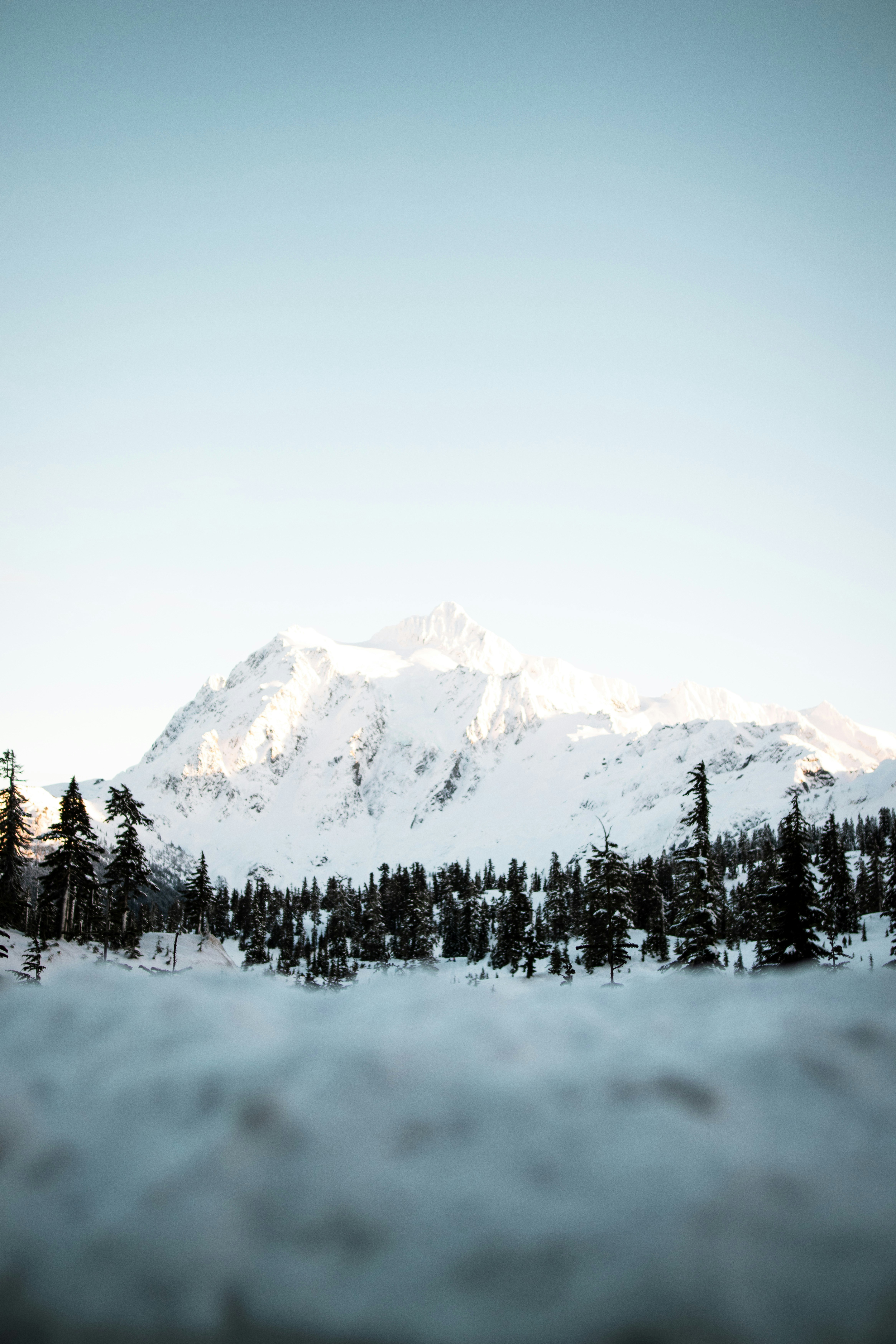 Sigma 24mm F1.4 DG HSM Art sample photo - lOnZ16CUMm - ExploreCams