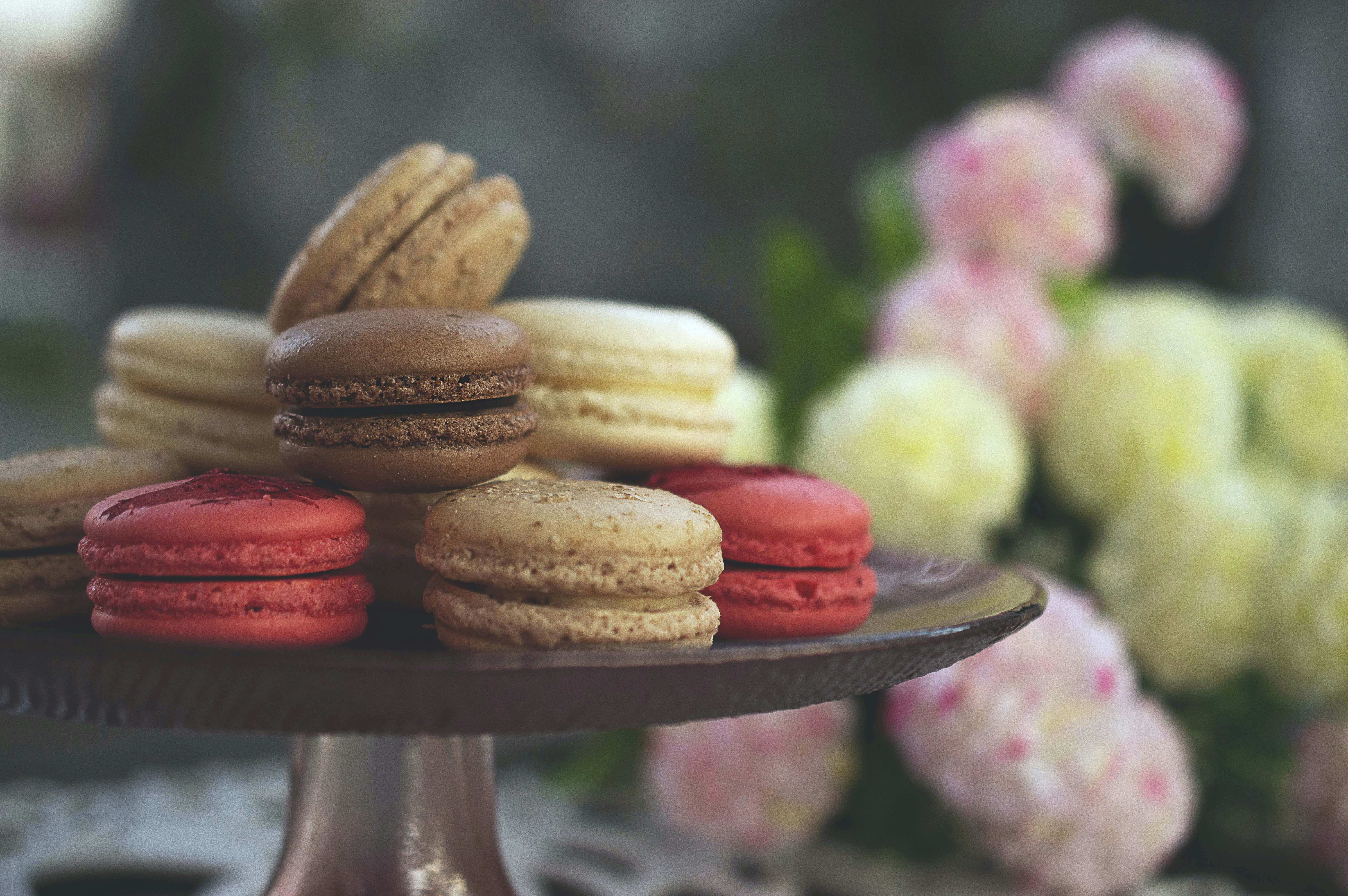 Selective focus photography of macaroons photo – Free Food Image on ...