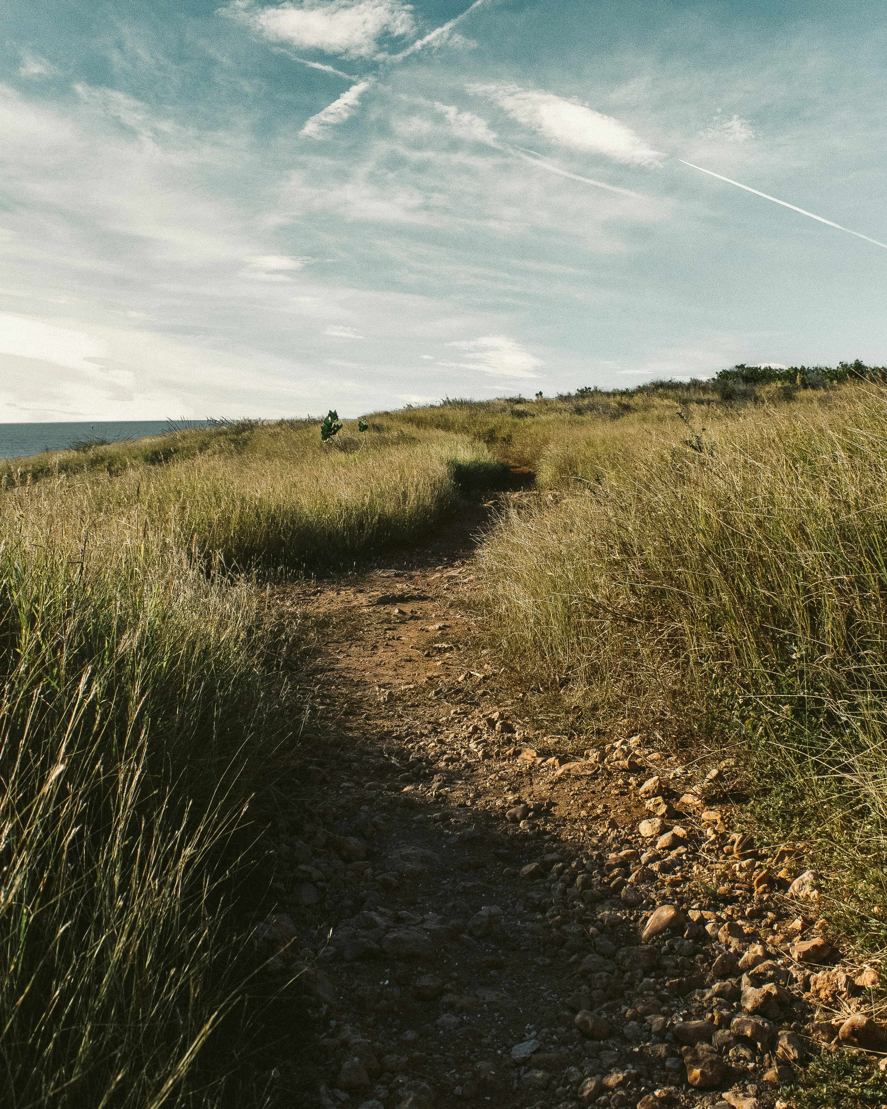 Pathway surrounded by grass under blue and white sky during daytime ...