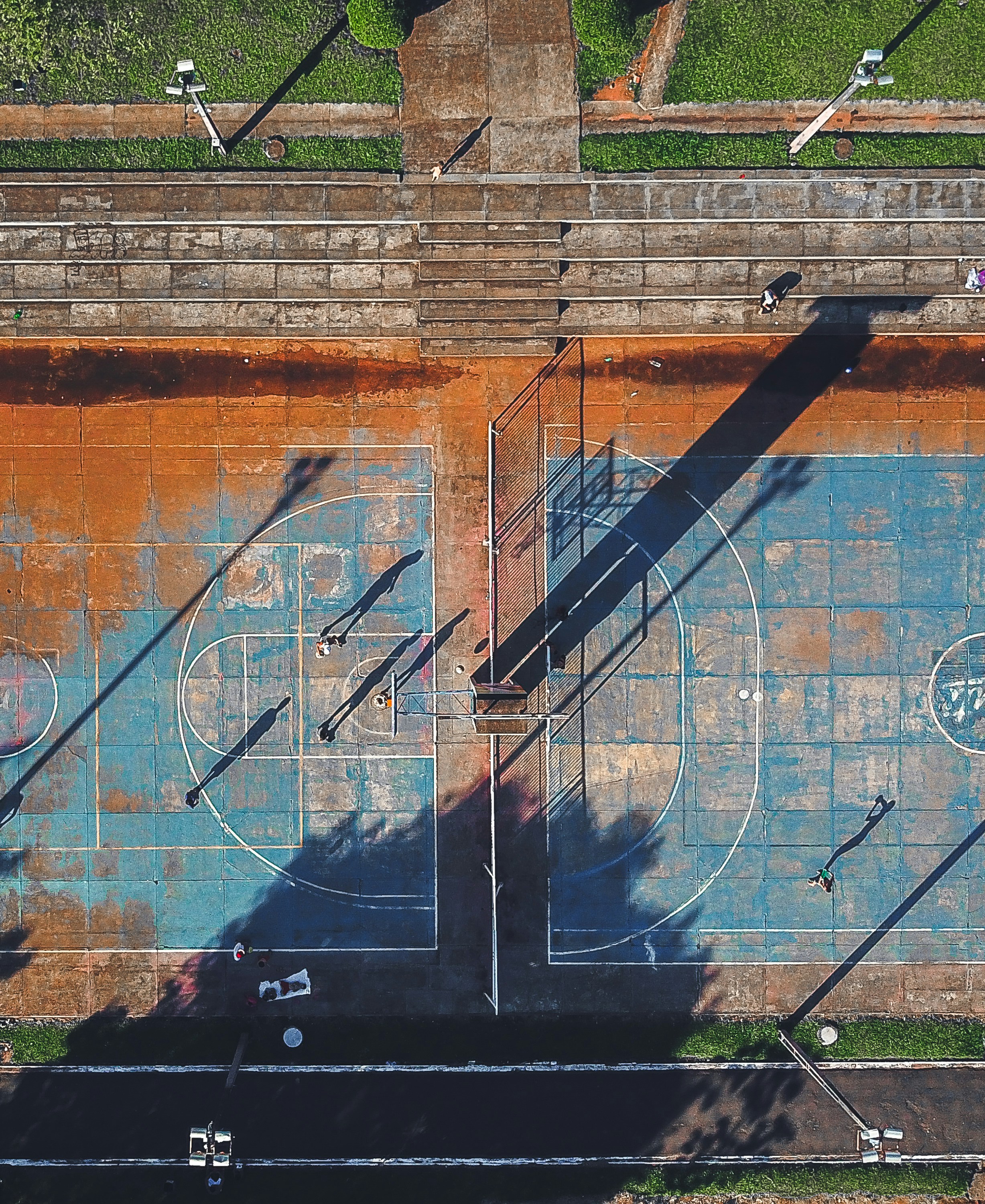 Définition de chien-assis | Dictionnaire français