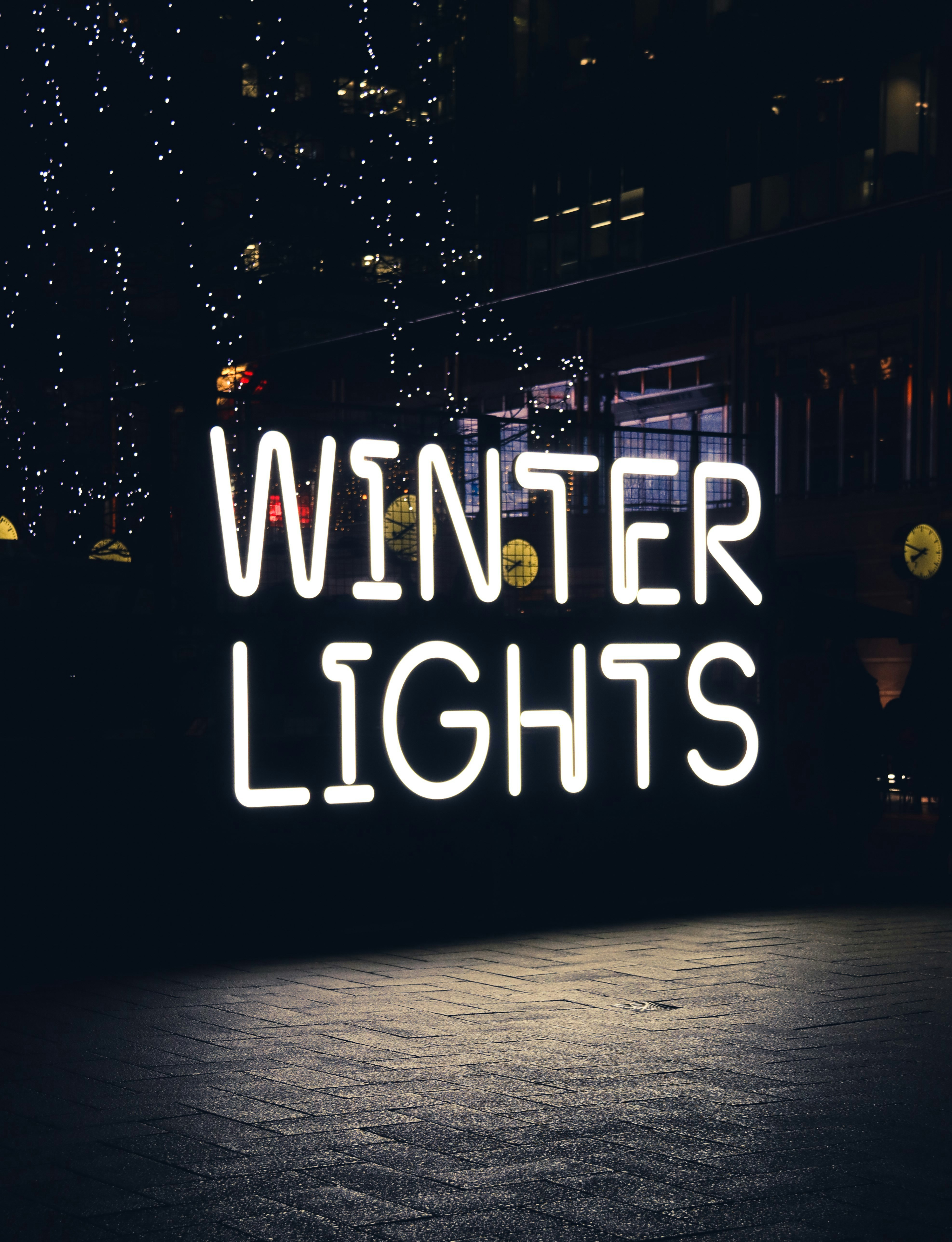 Winter Lights Neon: A Quiet Night Under Frosted Street Glow