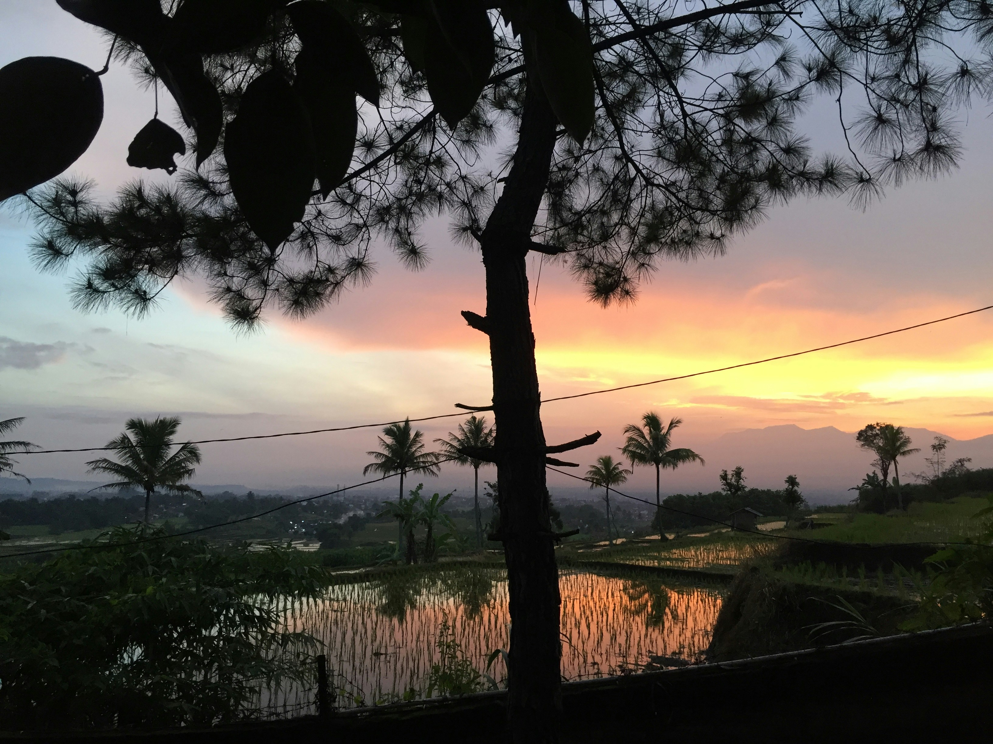 Sunset Silhouette Over a Quiet Terrace Pond