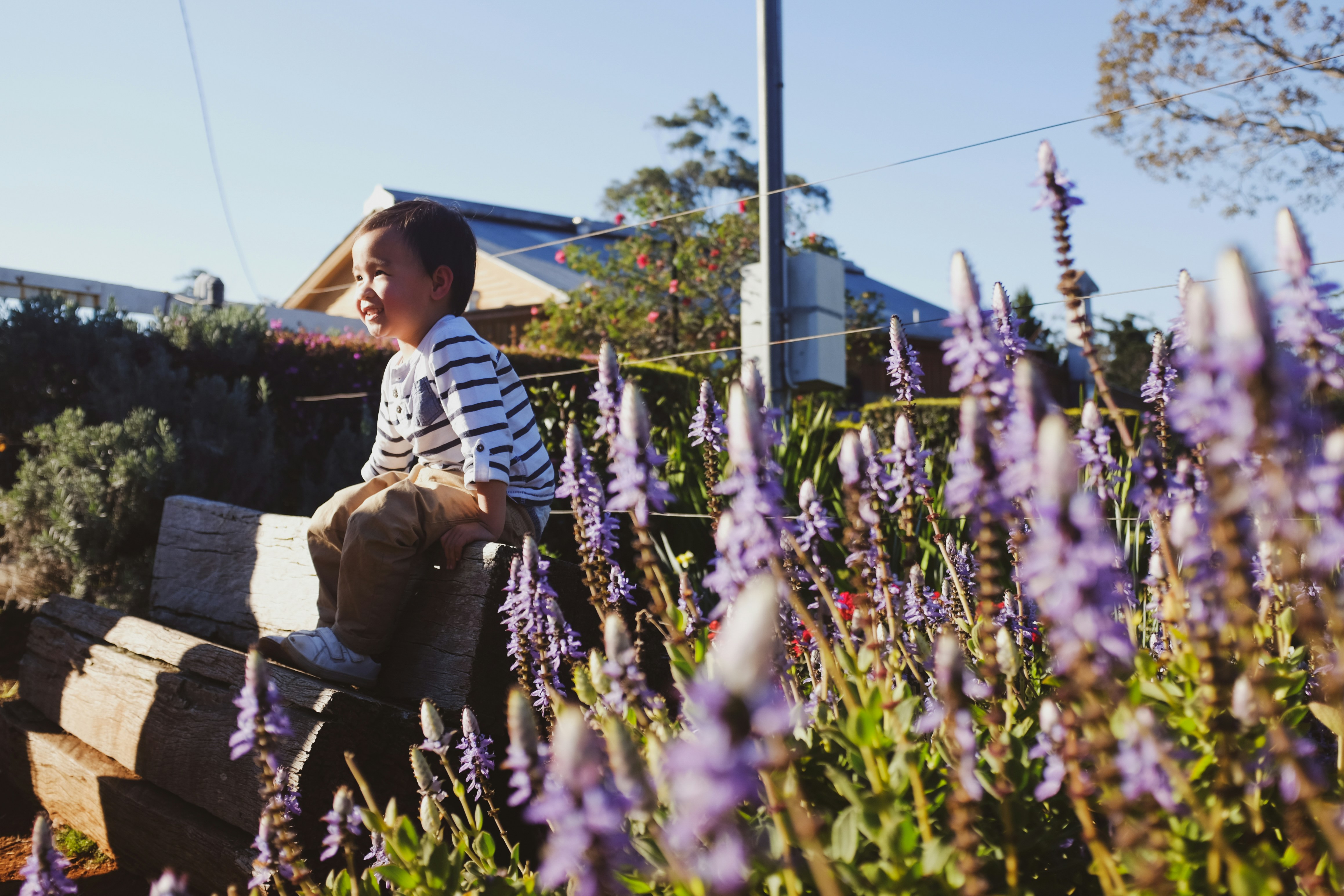 Child sitting on a wooden bench surrounded by vibrant purple flowers, enjoying a sunny day outdoors.