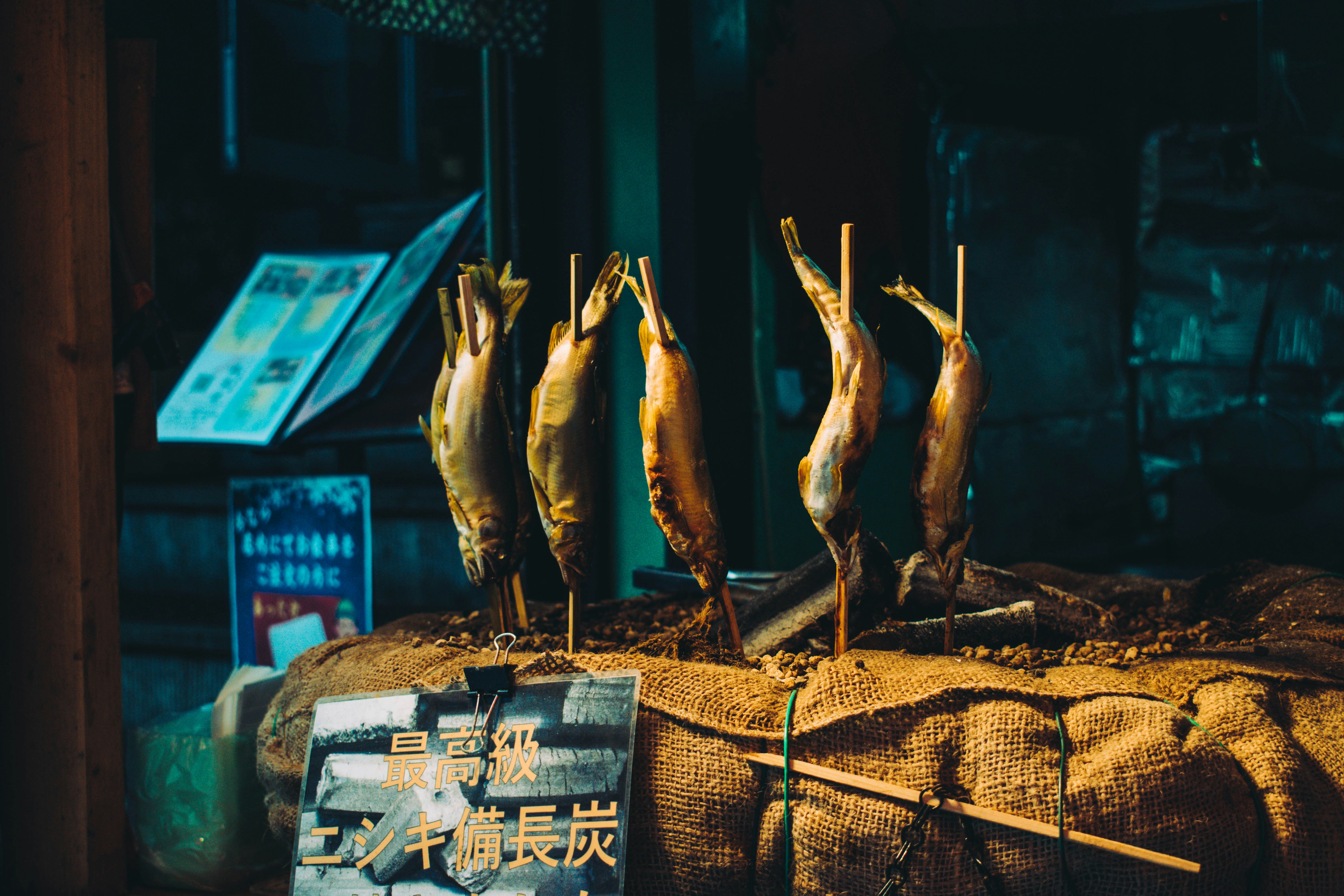Five fish on a stick photo – Free Minoo Image on Unsplash