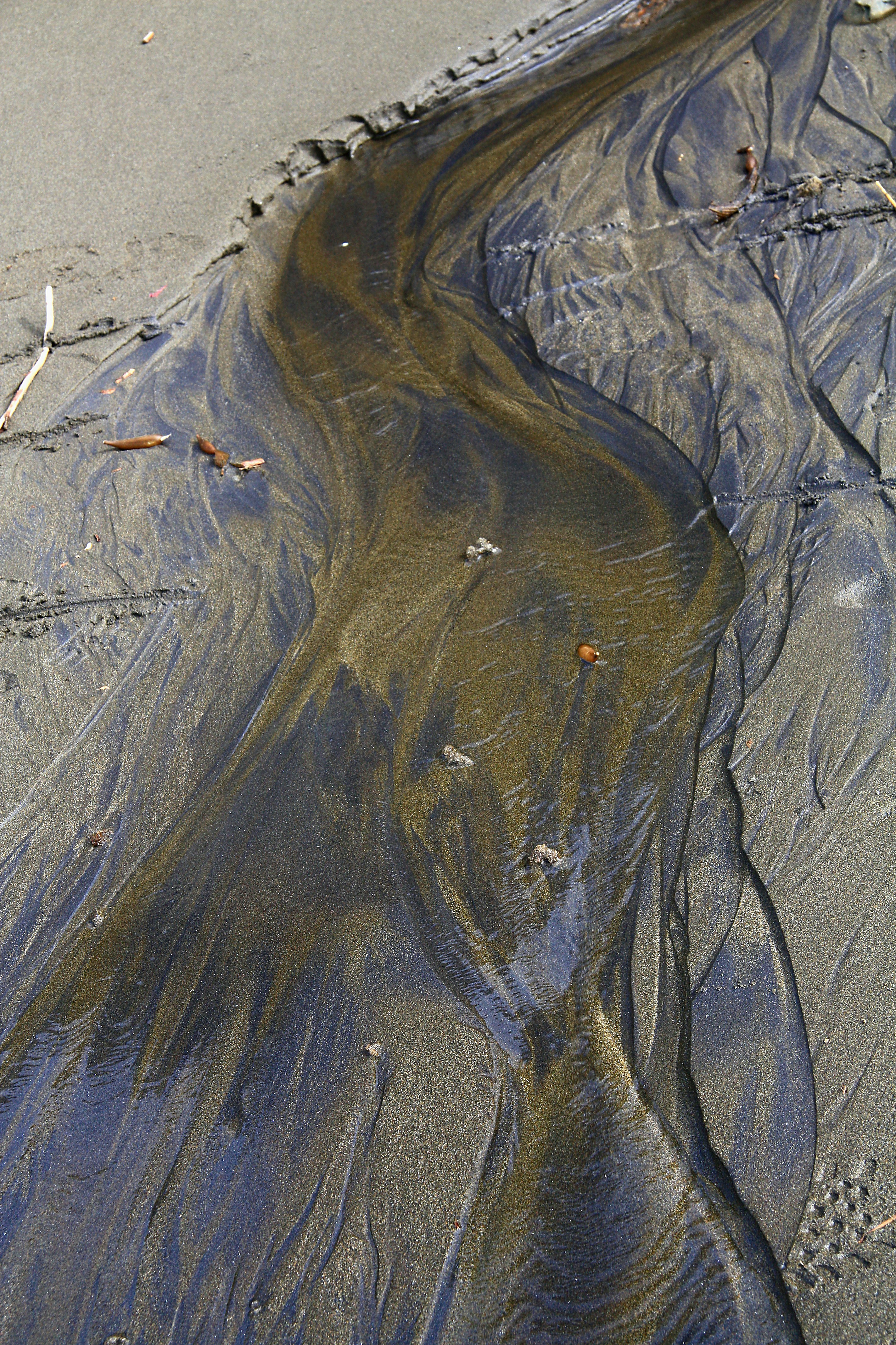 Indigo Rivulet Weaving Silk-Like Trails Across Wet Sand