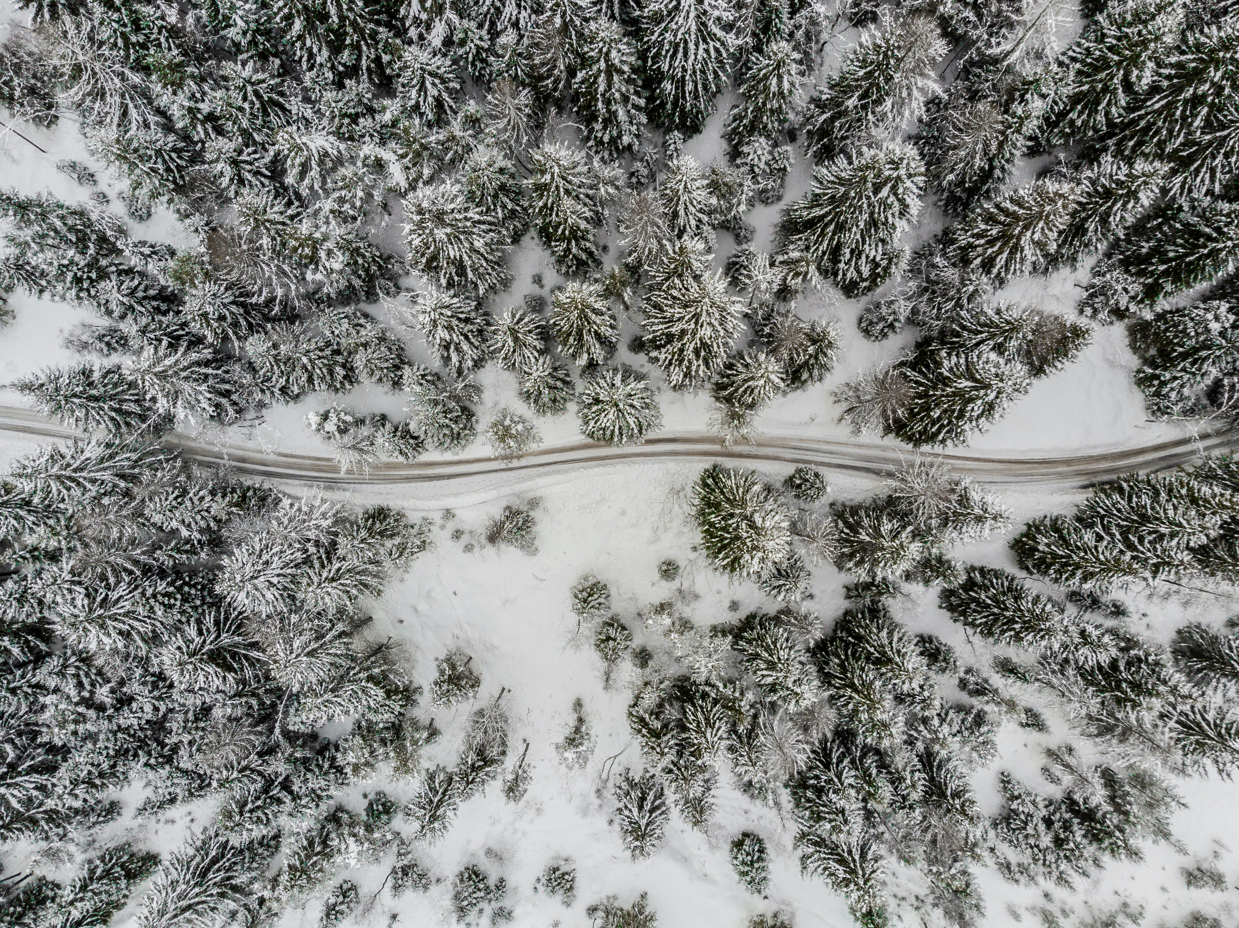 Winding road cutting through a snow-laden forest from an aerial perspective.