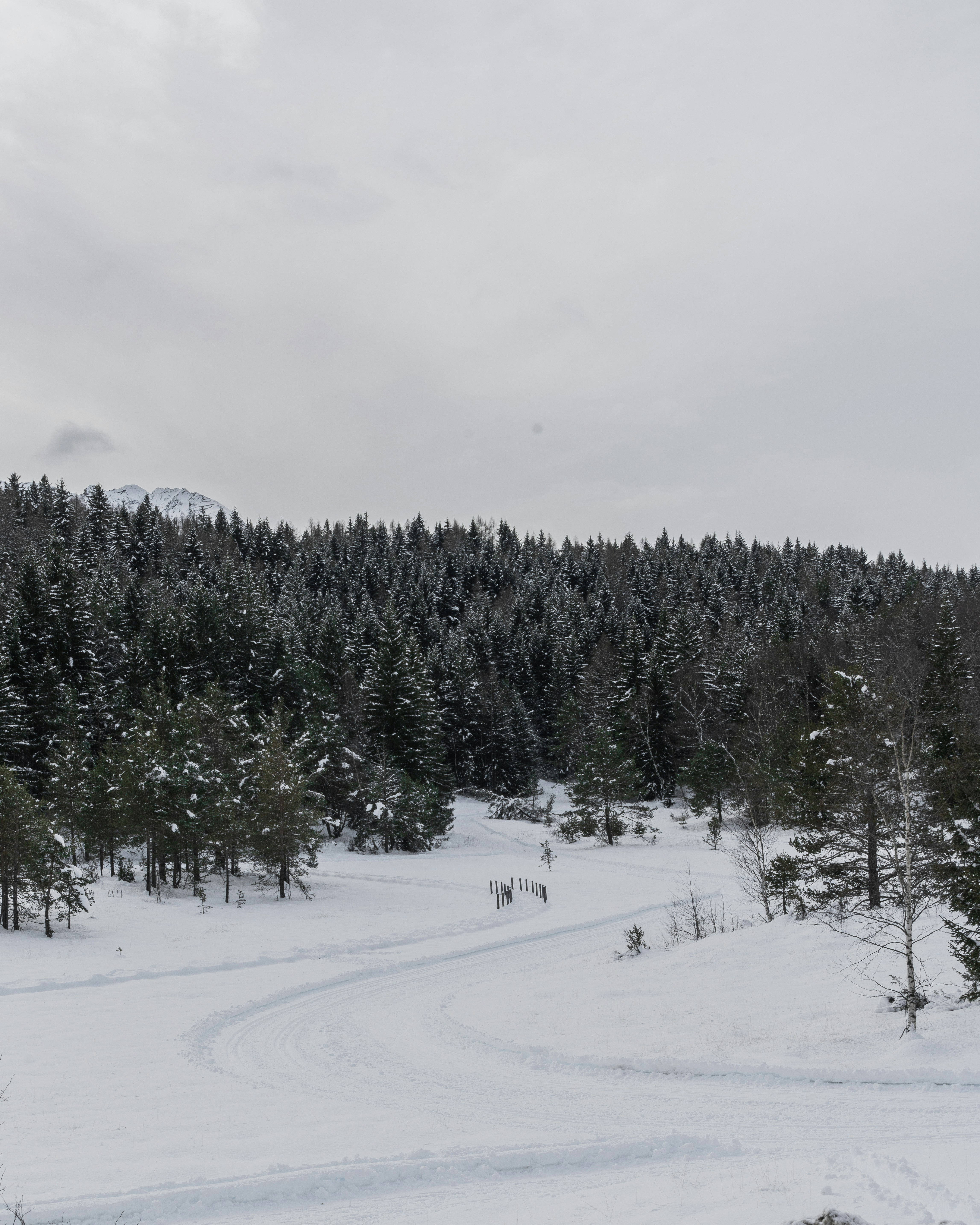 Définition de excursion | Dictionnaire français