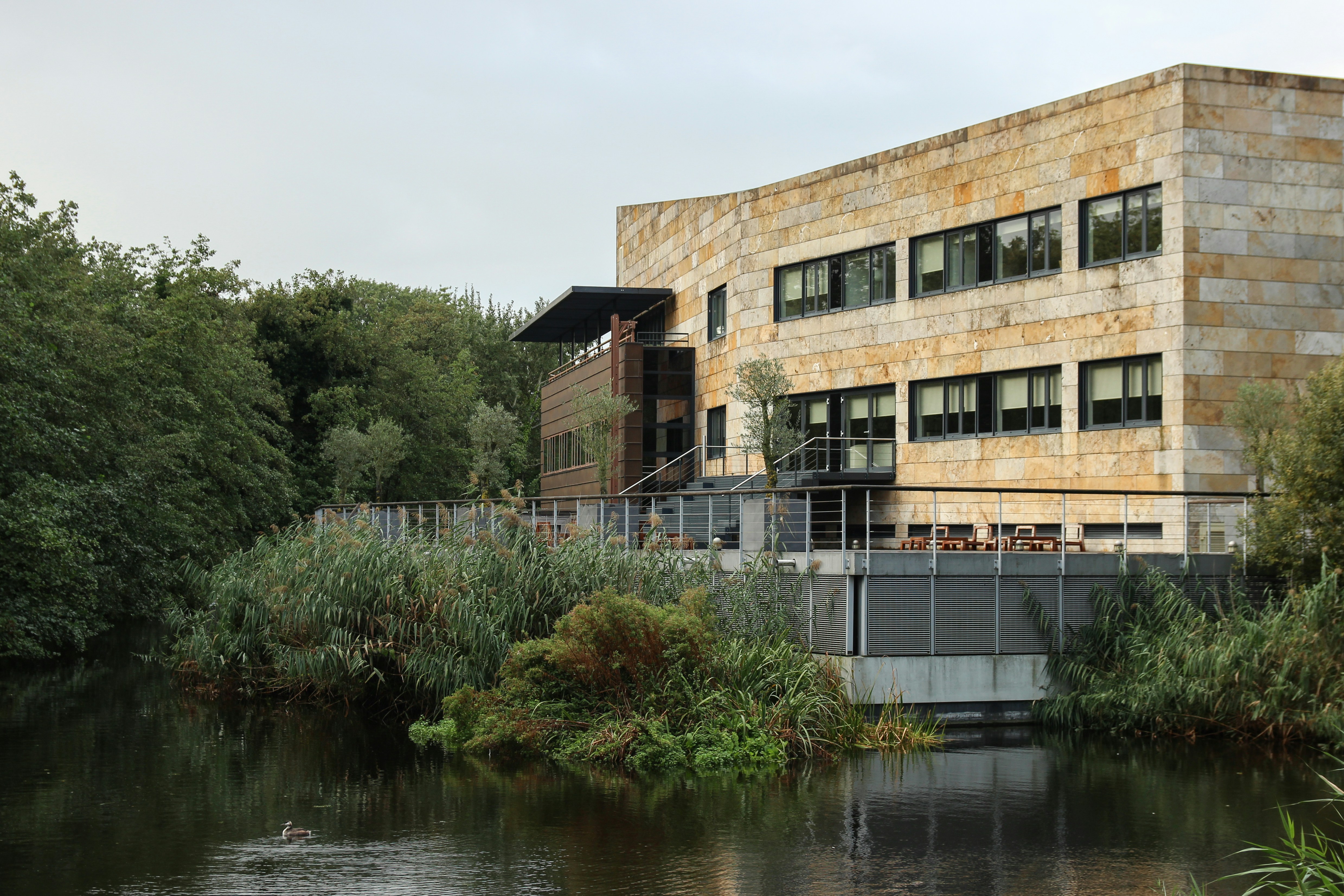 Contemporary building harmoniously integrated with lush greenery and a serene waterway, showcasing sustainable design principles.