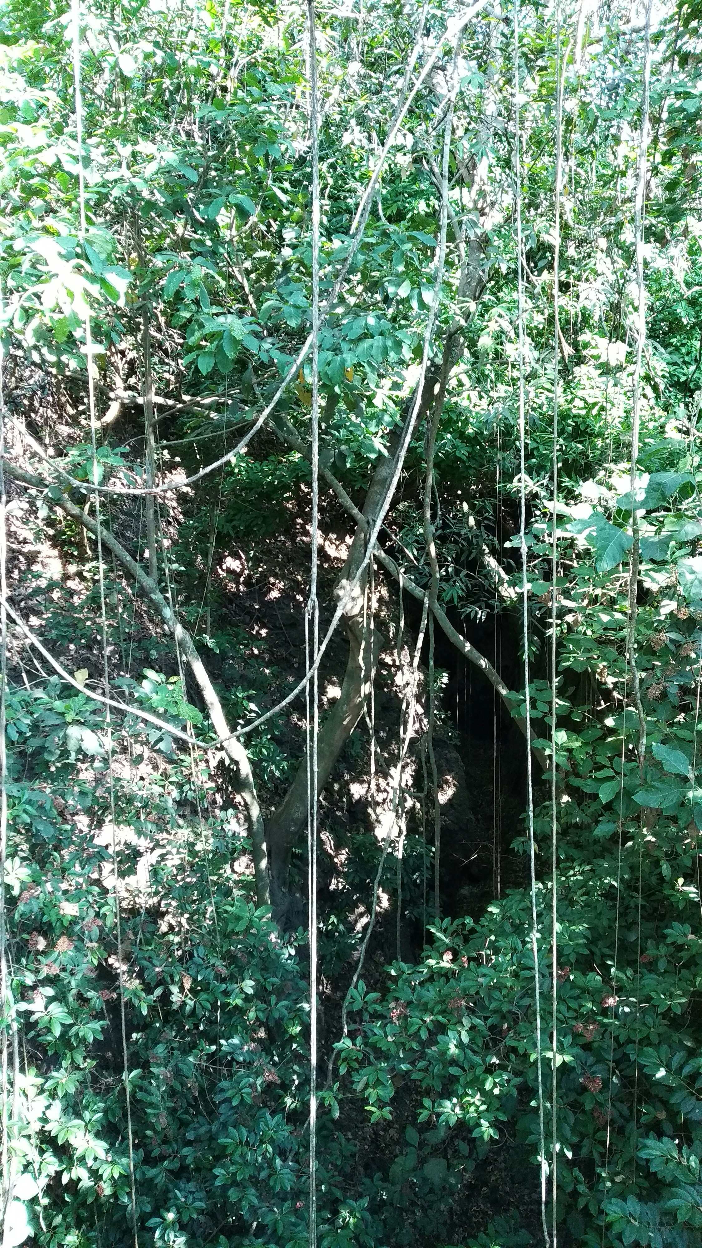 Sample photo from Xiaomi Mi A2 Lite