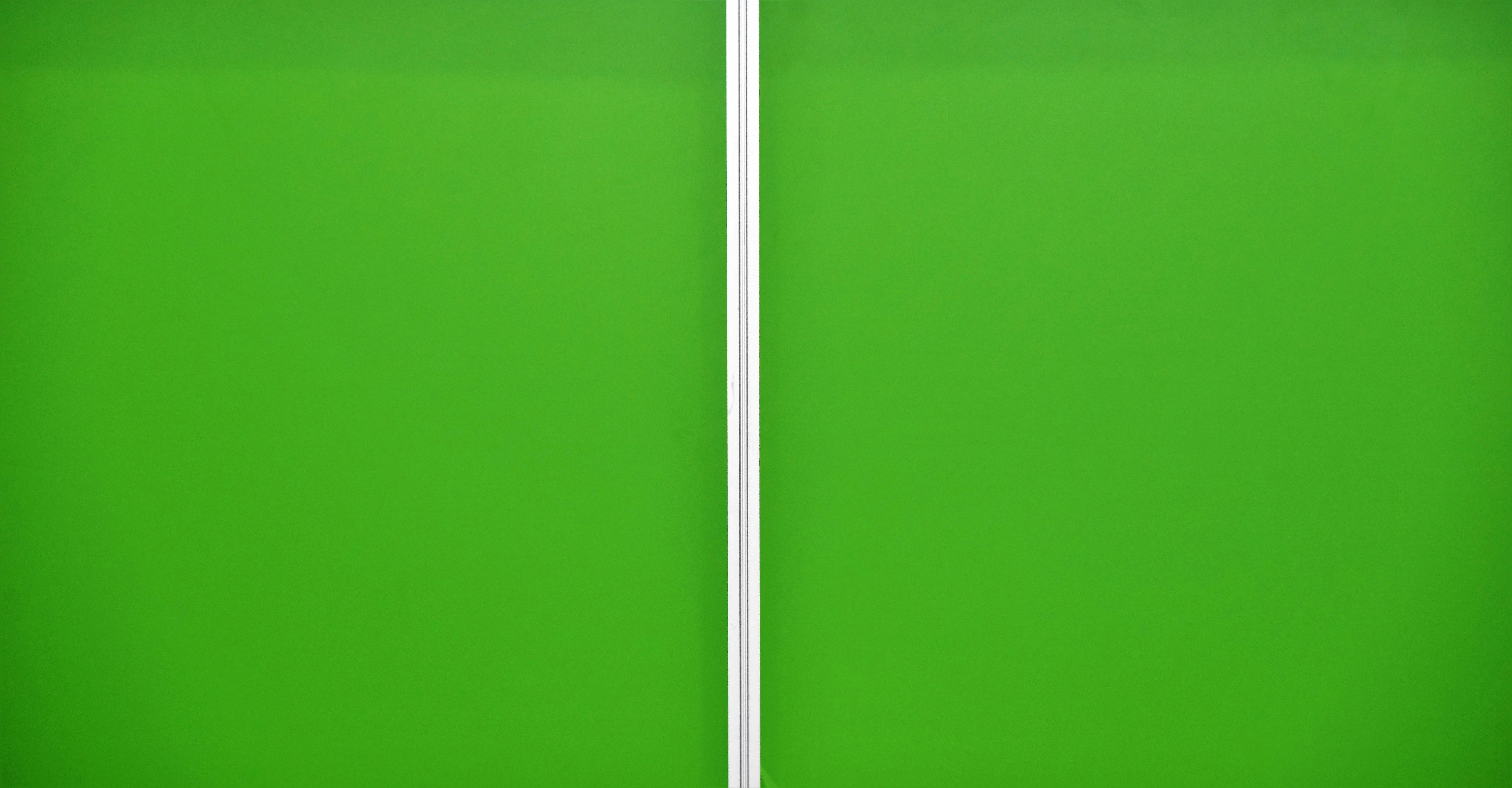 Verdant Split: Minimalist Green Duo