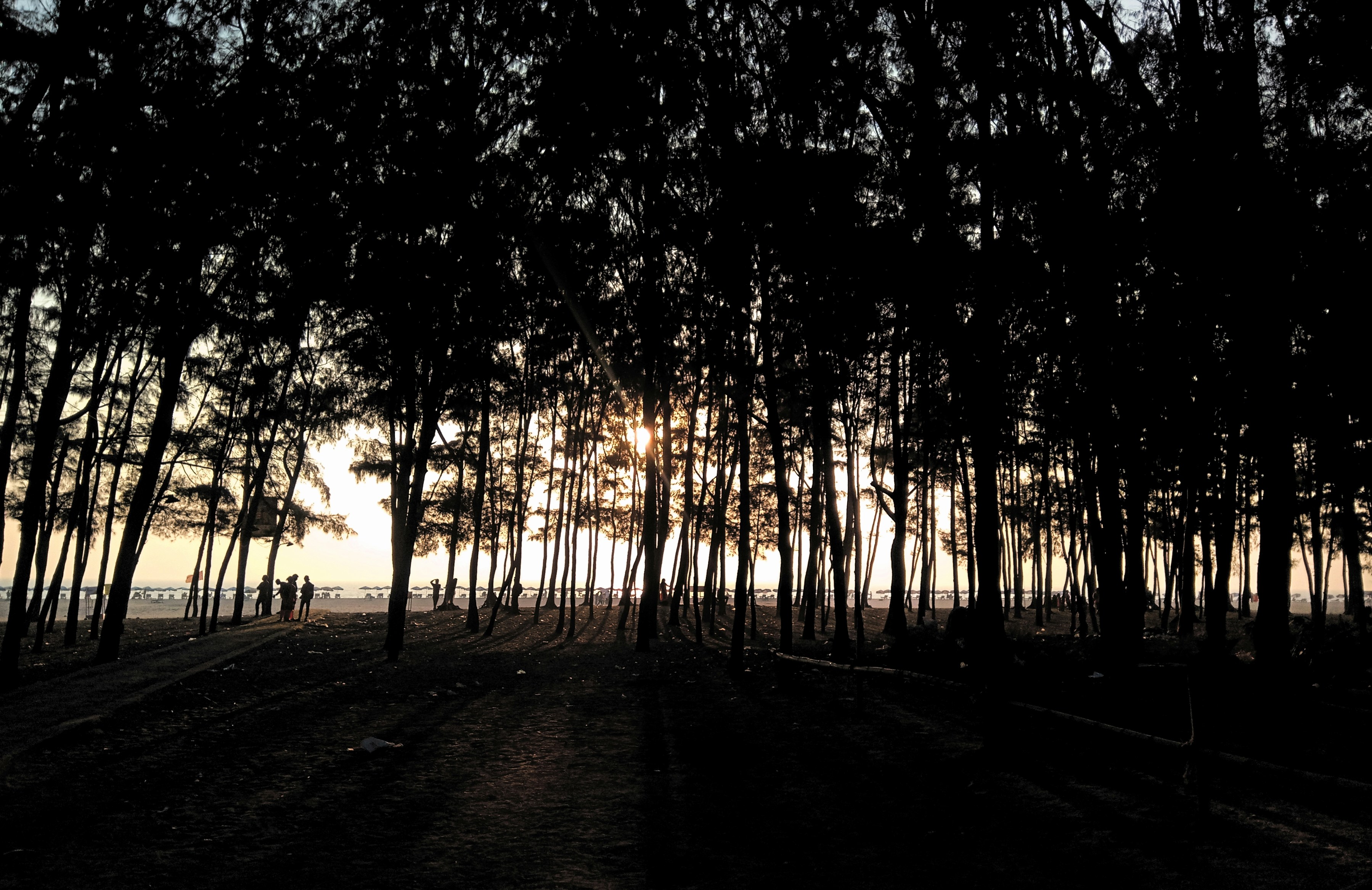 Death as a Moral Frame: Understanding Ethics through the Lens of Mortality