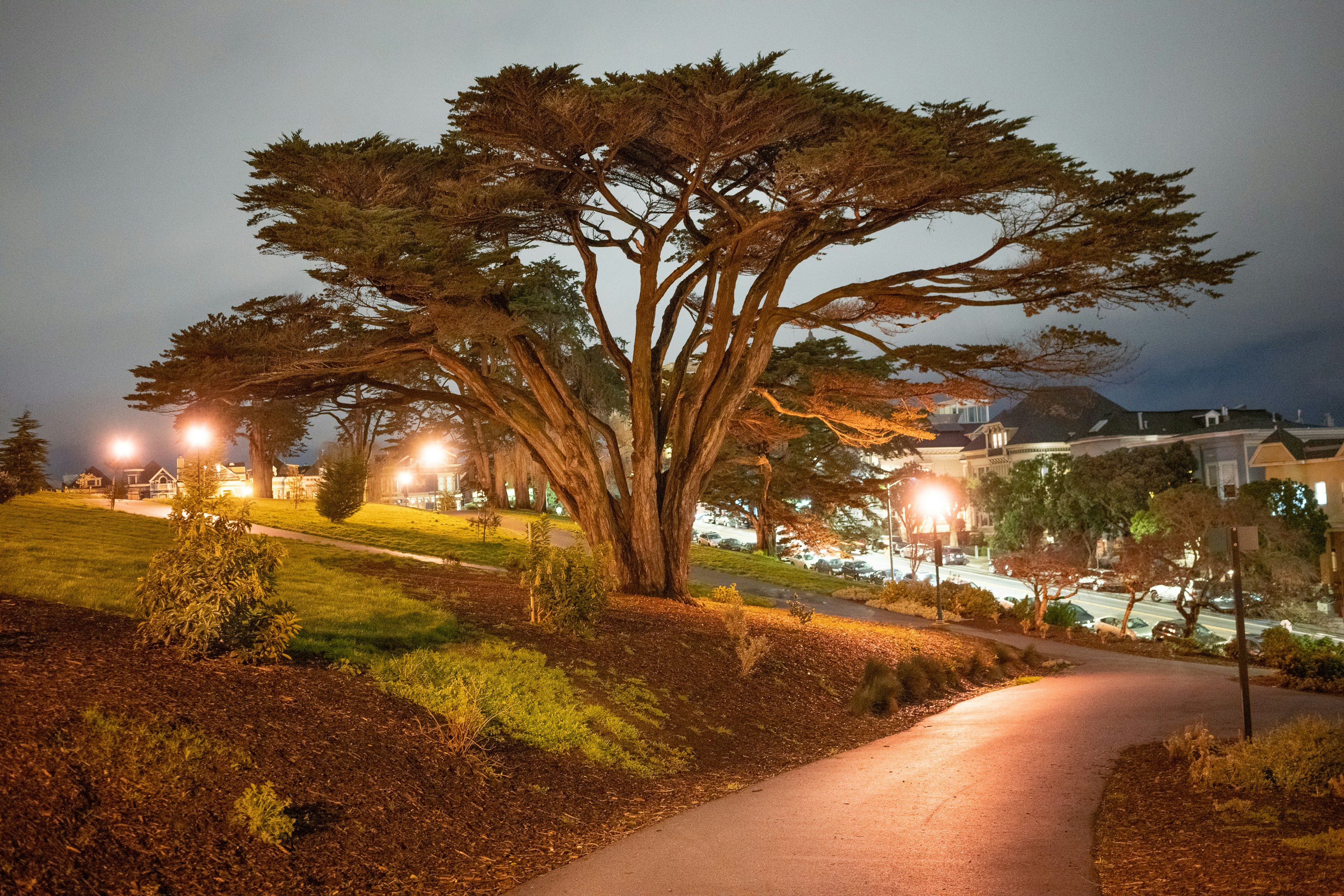 Zac Durant (@zacdurant) | Unsplash Photo Community