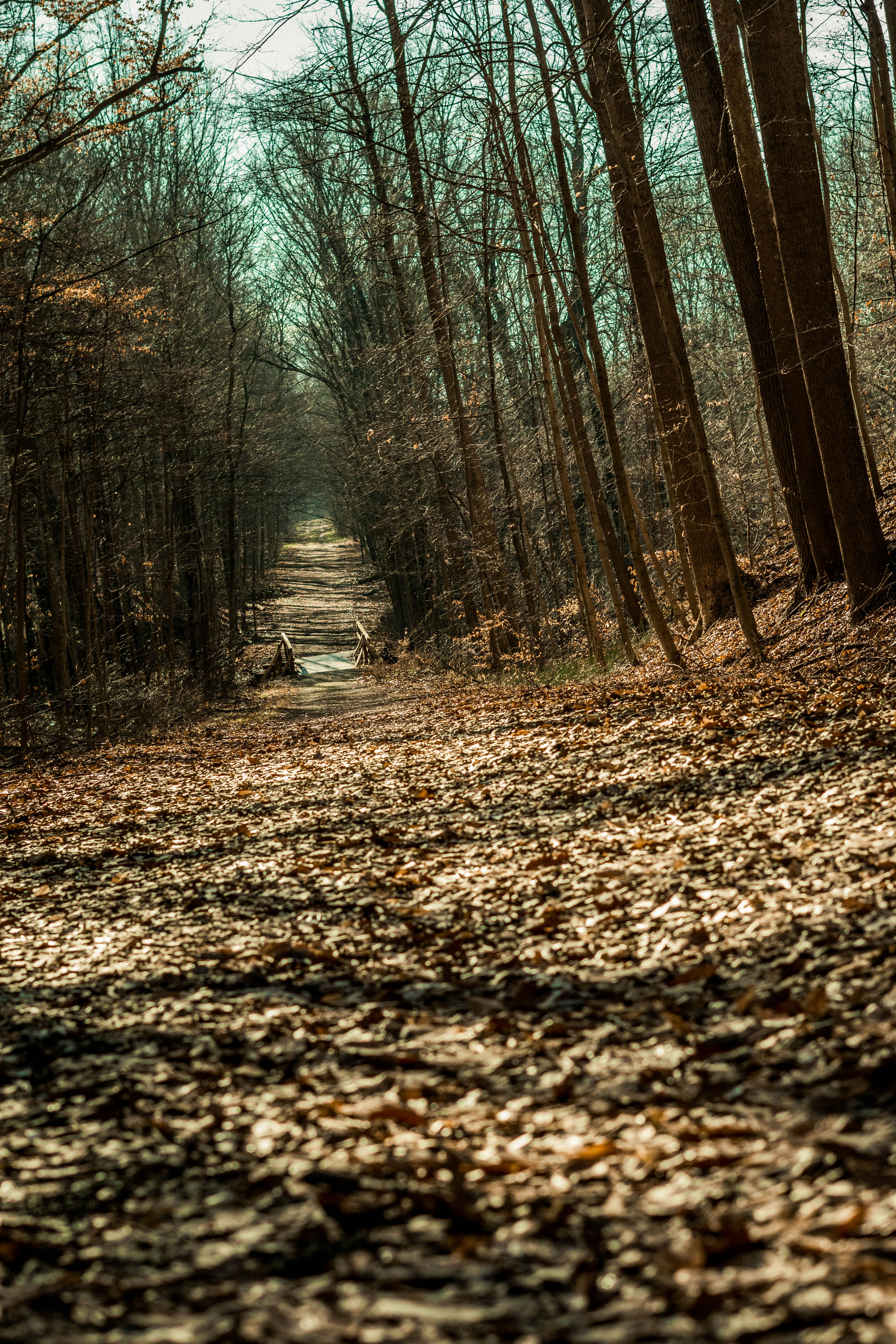 Michael Yoder (@michaelyoder81) | Komunitas Foto Unsplash