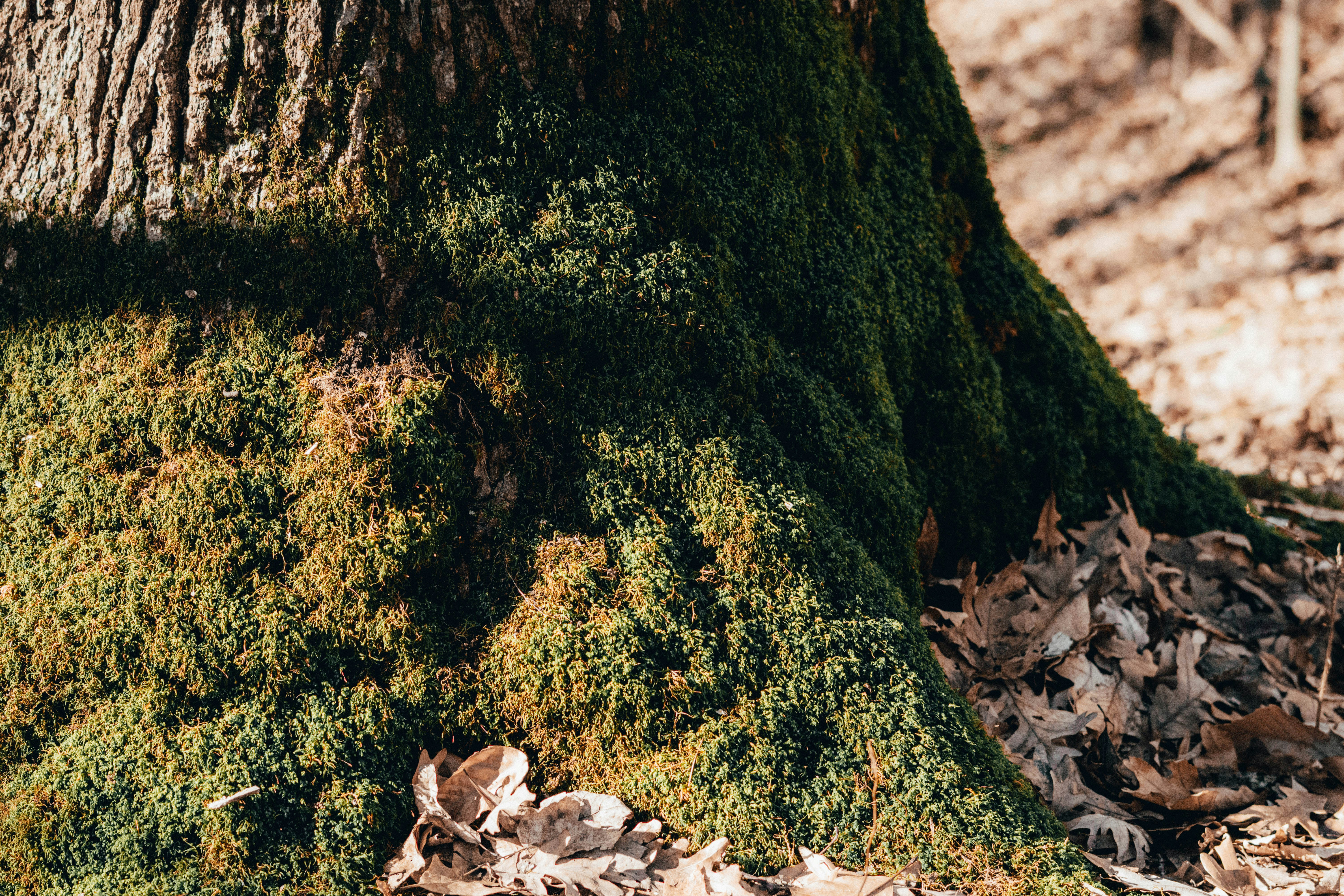 Michael Yoder (@michaelyoder81) | Komunitas Foto Unsplash