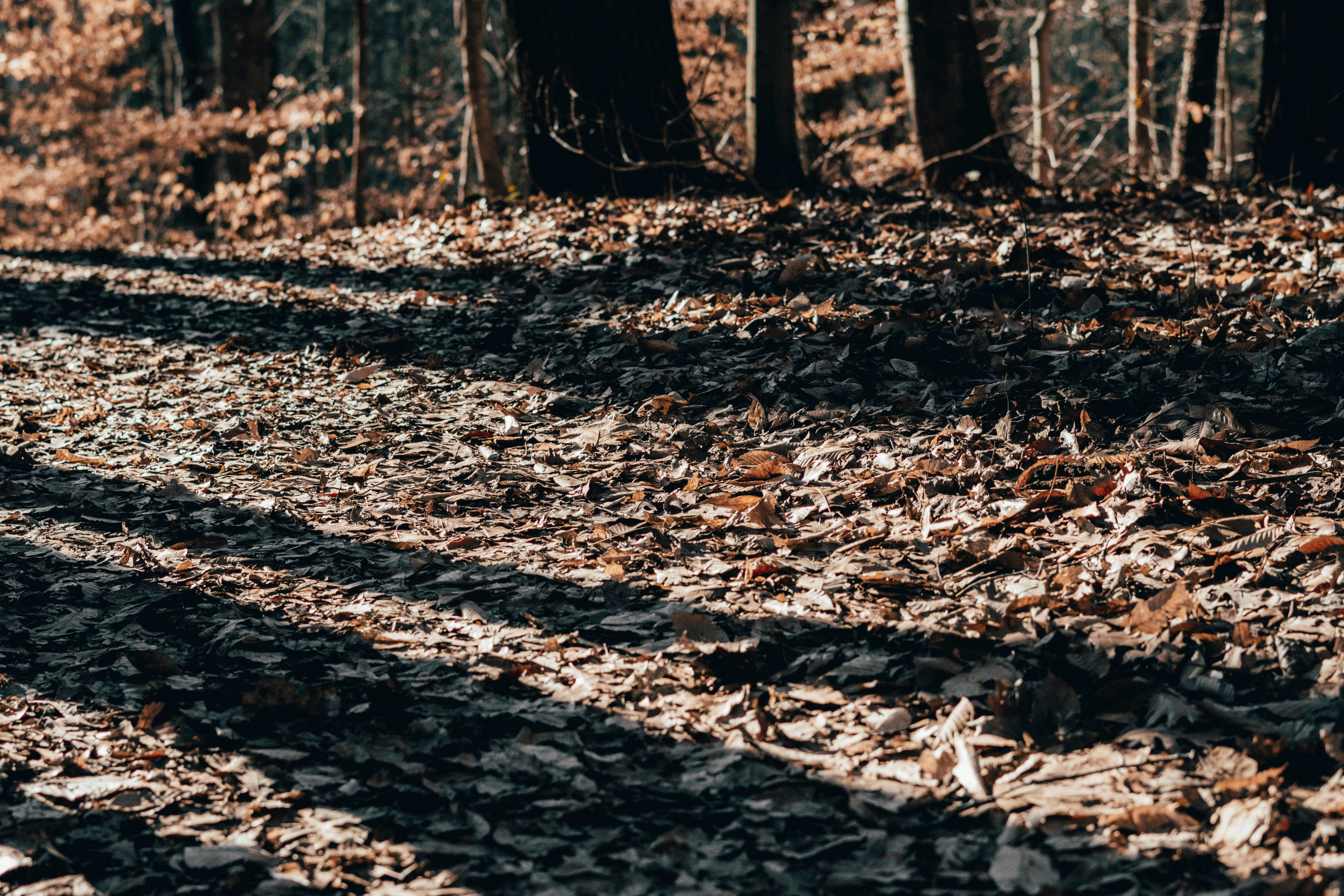 Michael Yoder (@michaelyoder81) | Komunitas Foto Unsplash