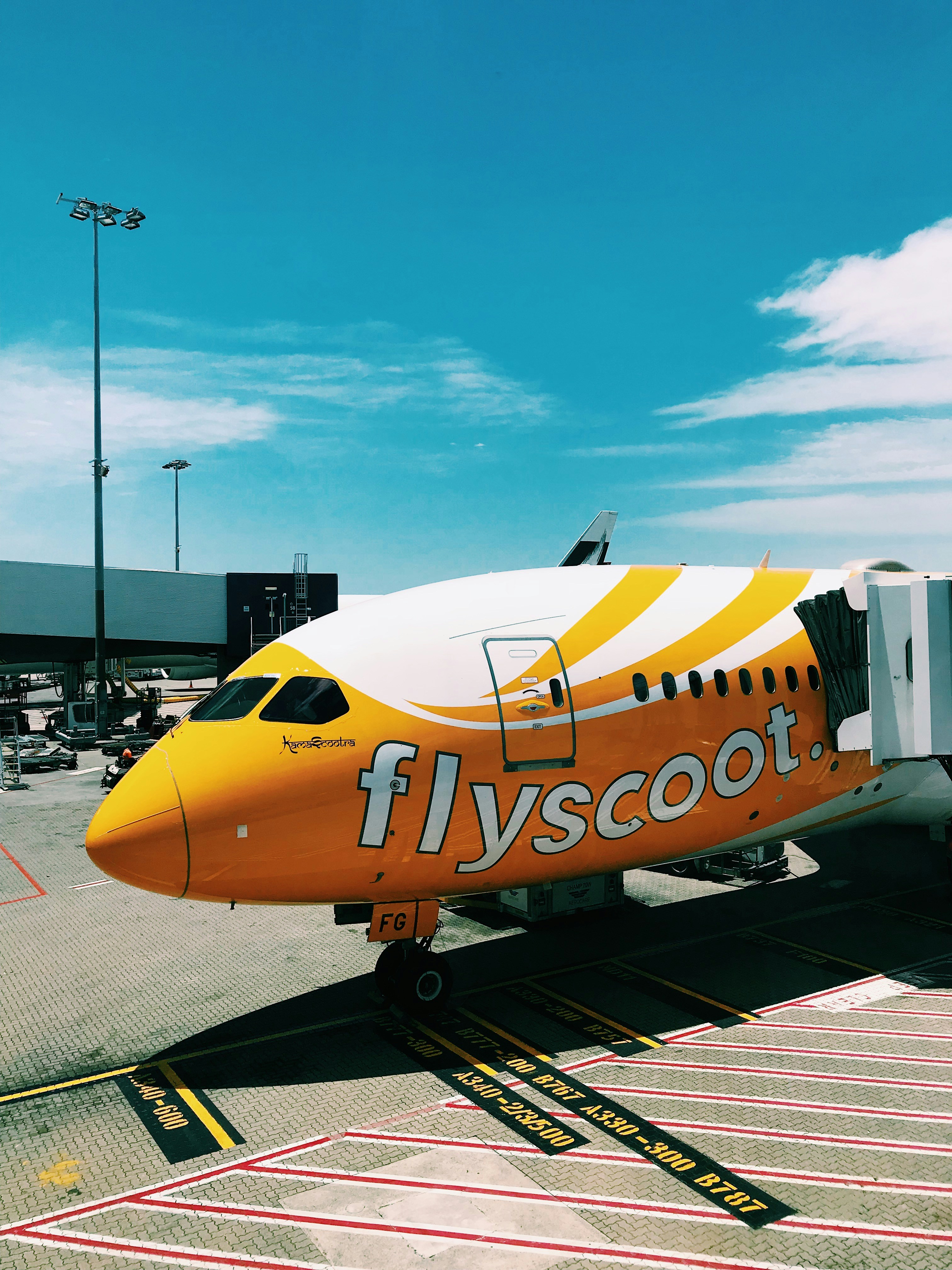 Yellow Flyscoot airplane on airport during daytime photo – Free Flight ...