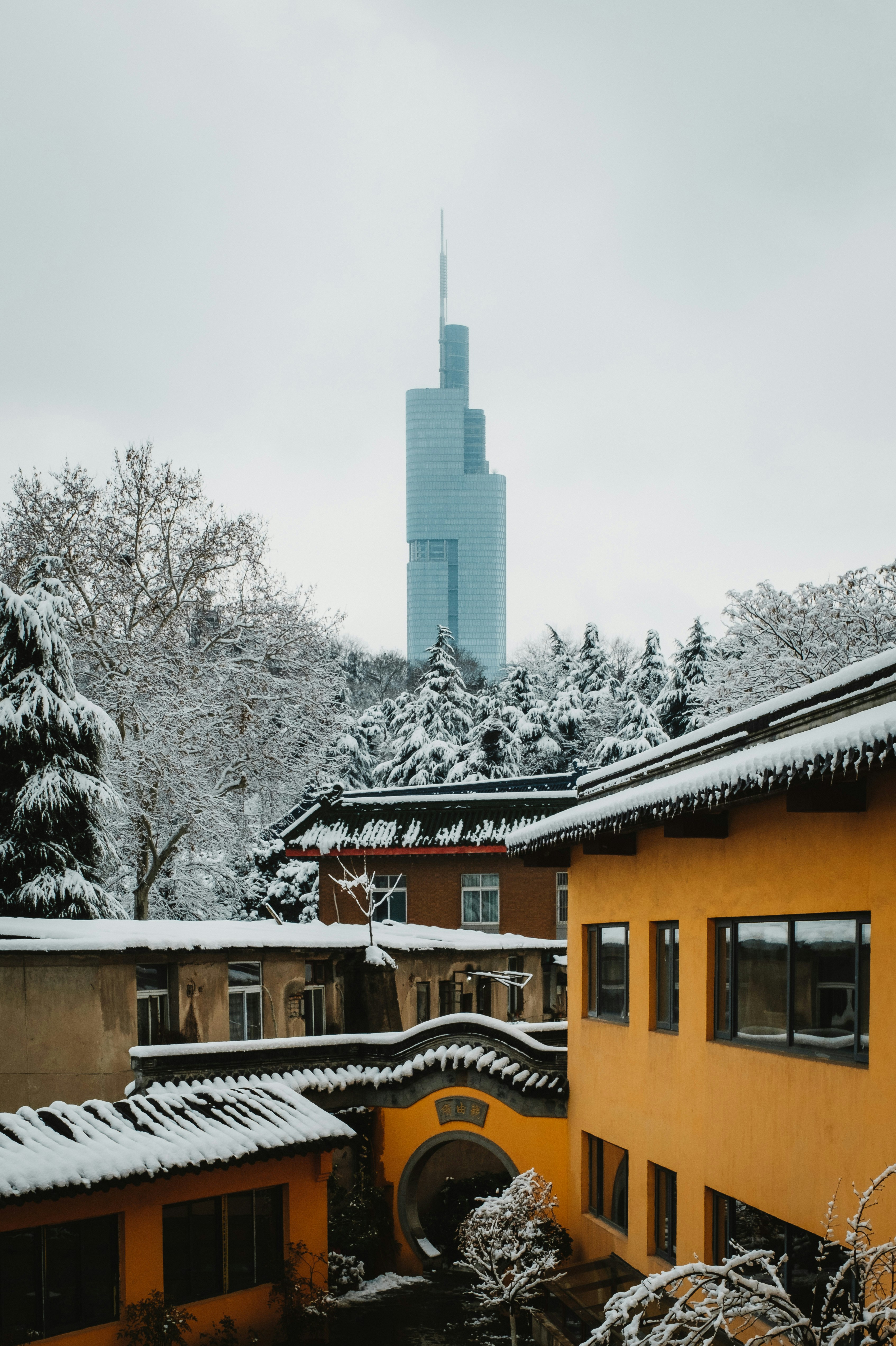 Winter Courtyard Framed by a Glass-Blue Skyline