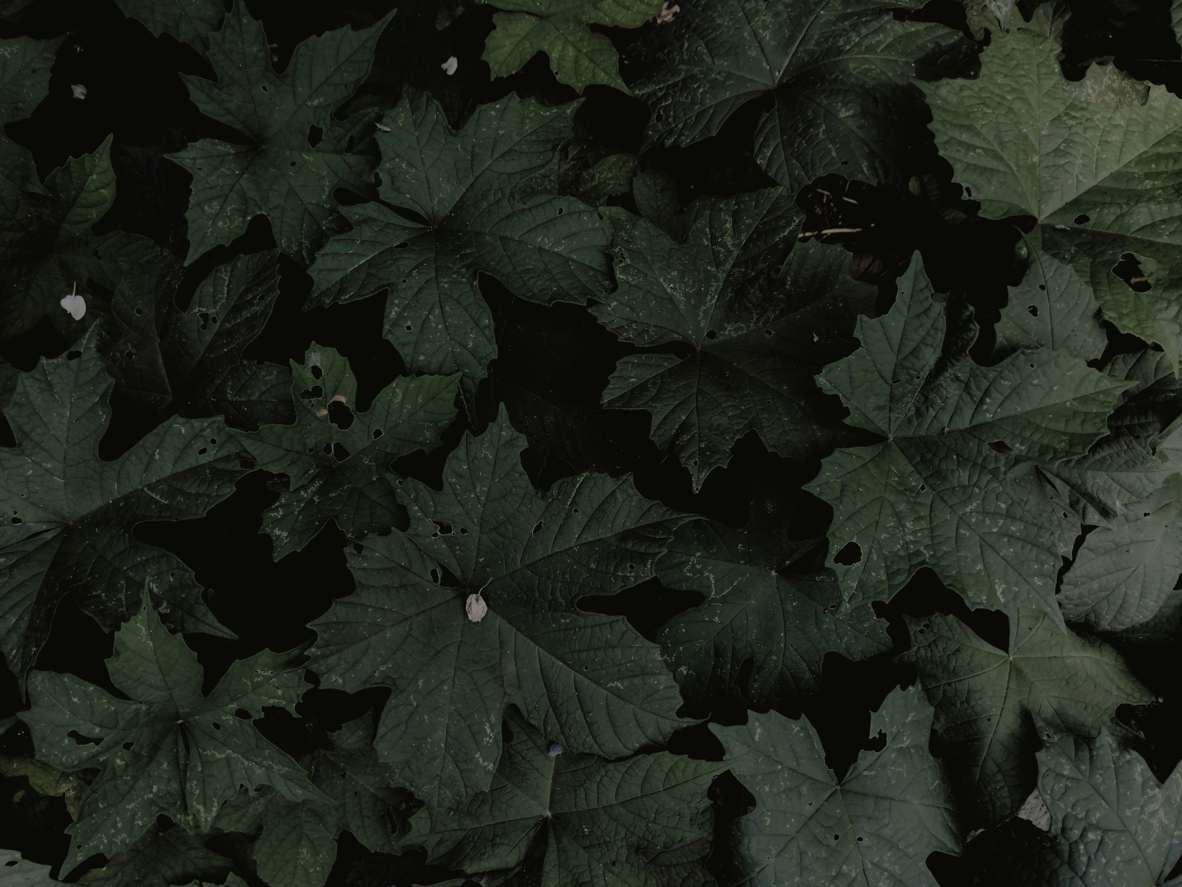 Akira zzz (@akira_a) | Unsplash Photo Community