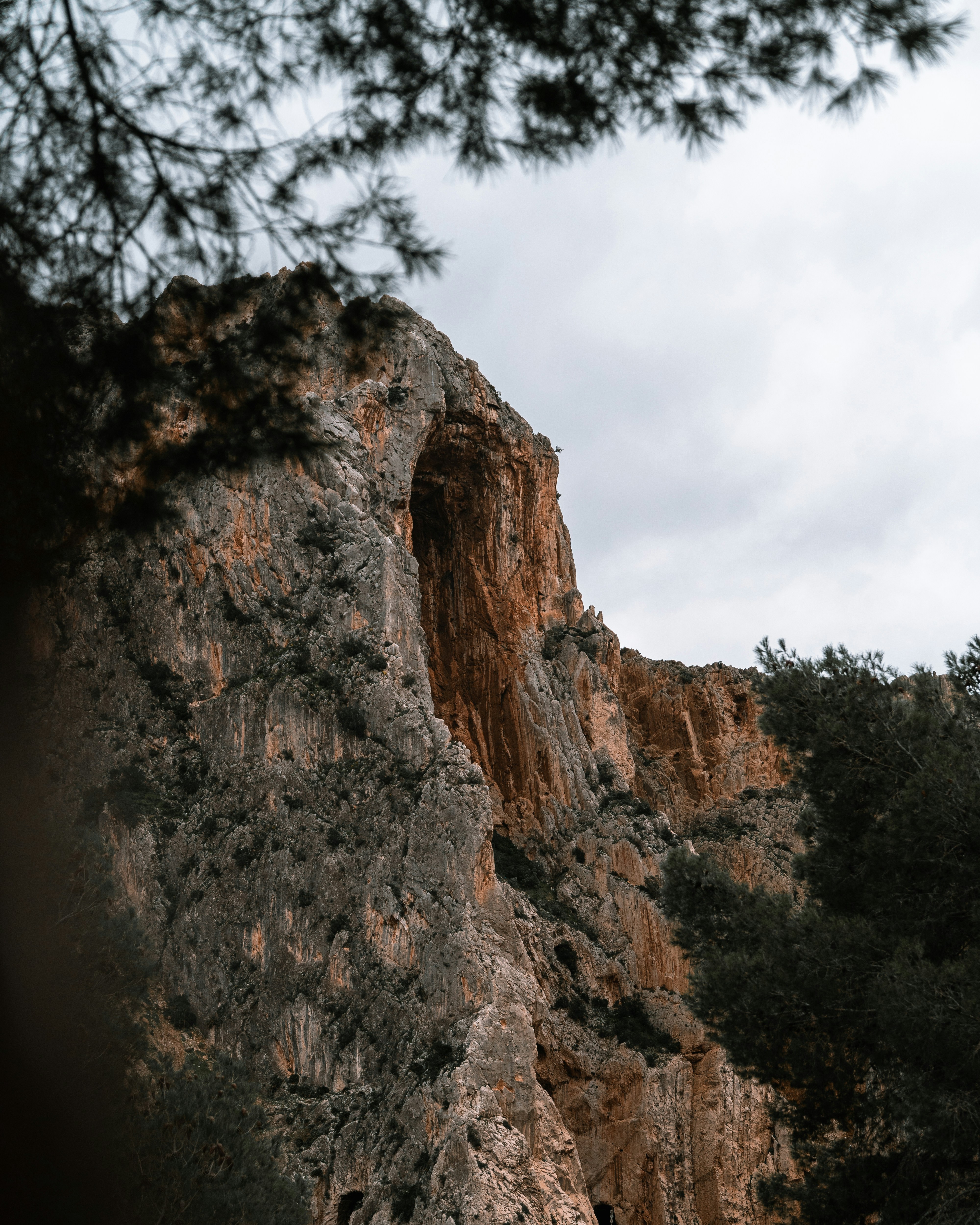 Brown rocky mountain view from tree photo – Free Malaga Image on Unsplash