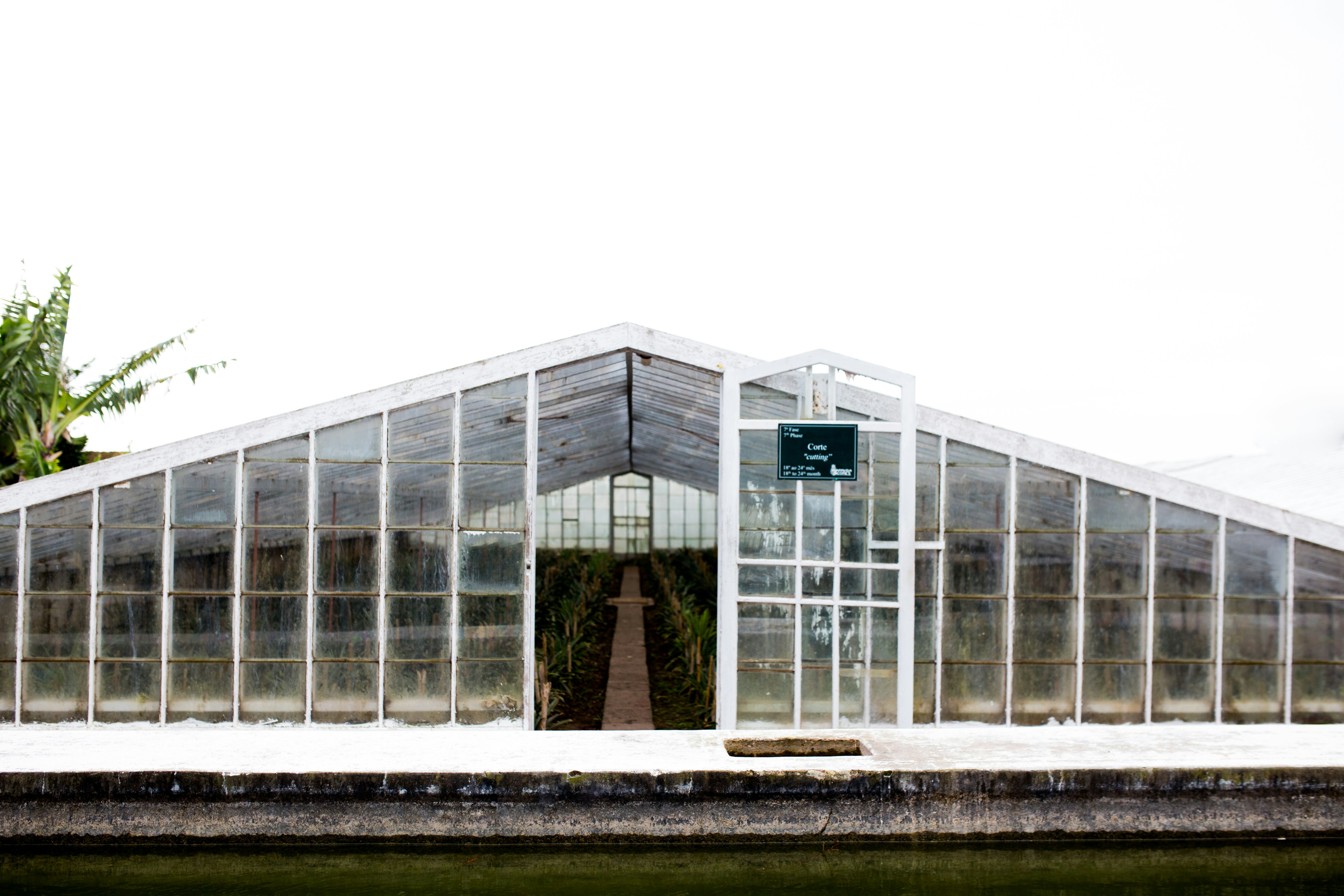 Modern greenhouse structure with glass panels reflecting the surrounding greenery and a central pathway leading inside.