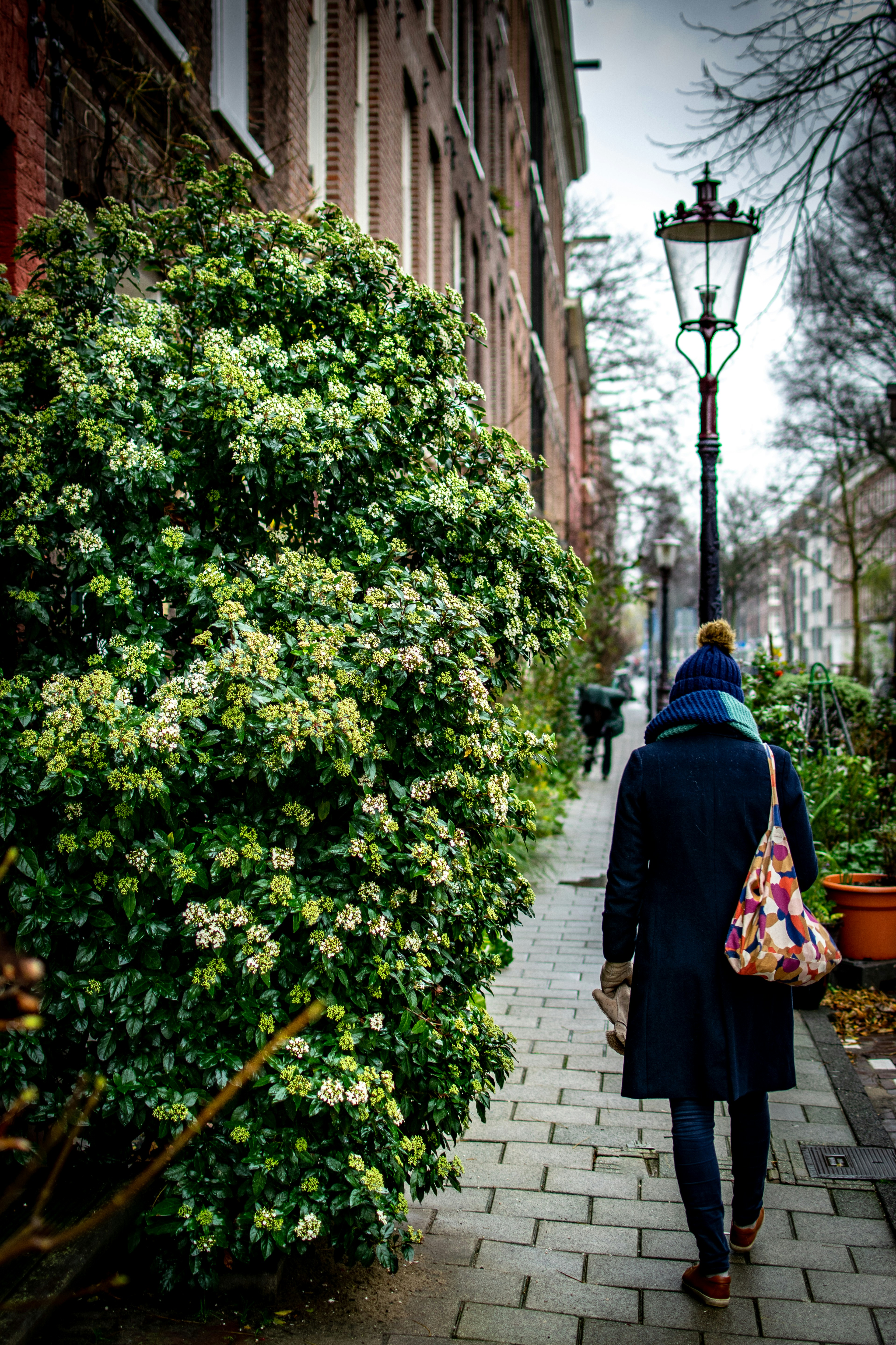 Person walking along a cobblestone path surrounded by blooming greenery and historical architecture. Lanterns line the walkway, enhancing the tranquil atmosphere.
