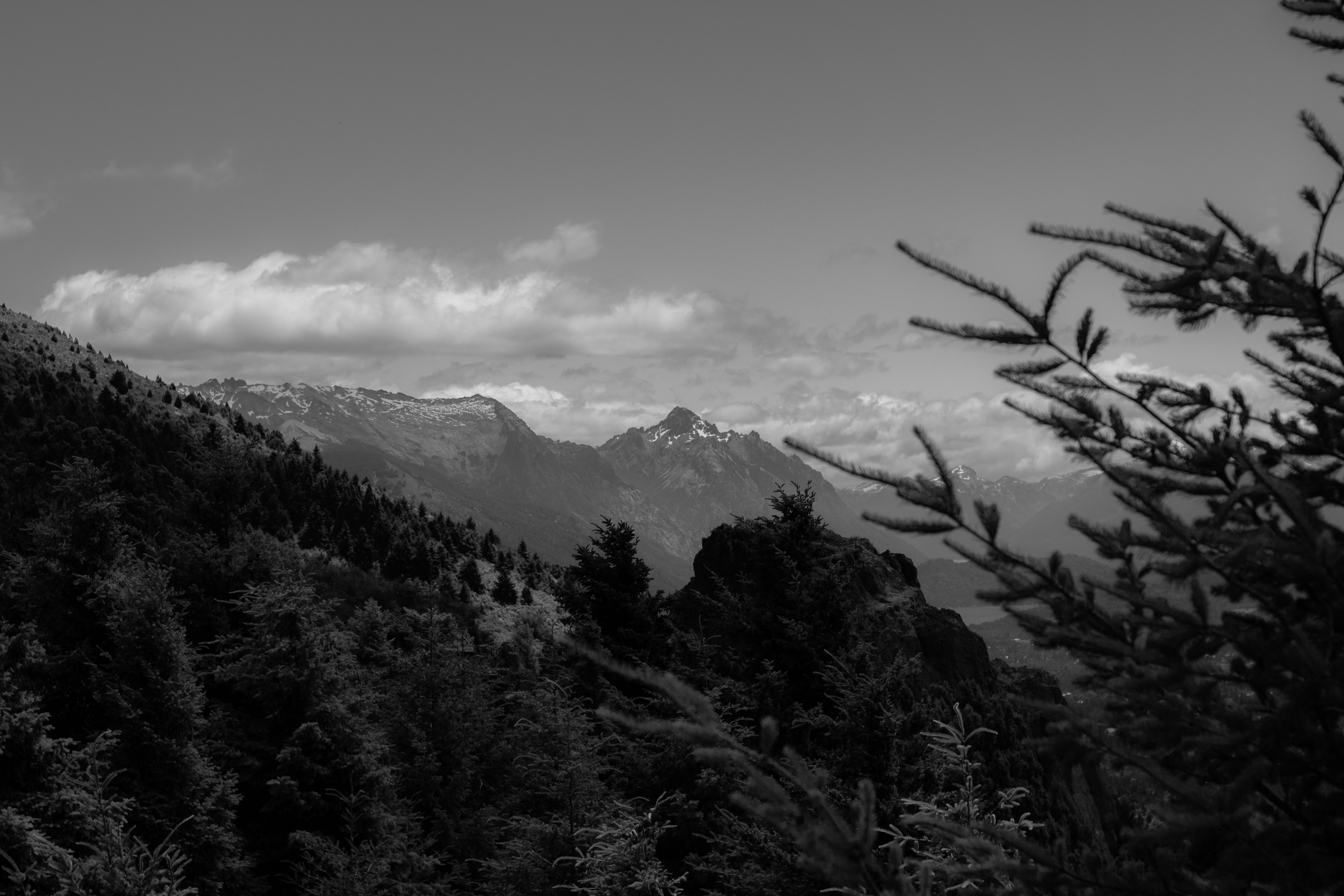 Grayscale view of distant mountains framed by trees, with clouds drifting above.
