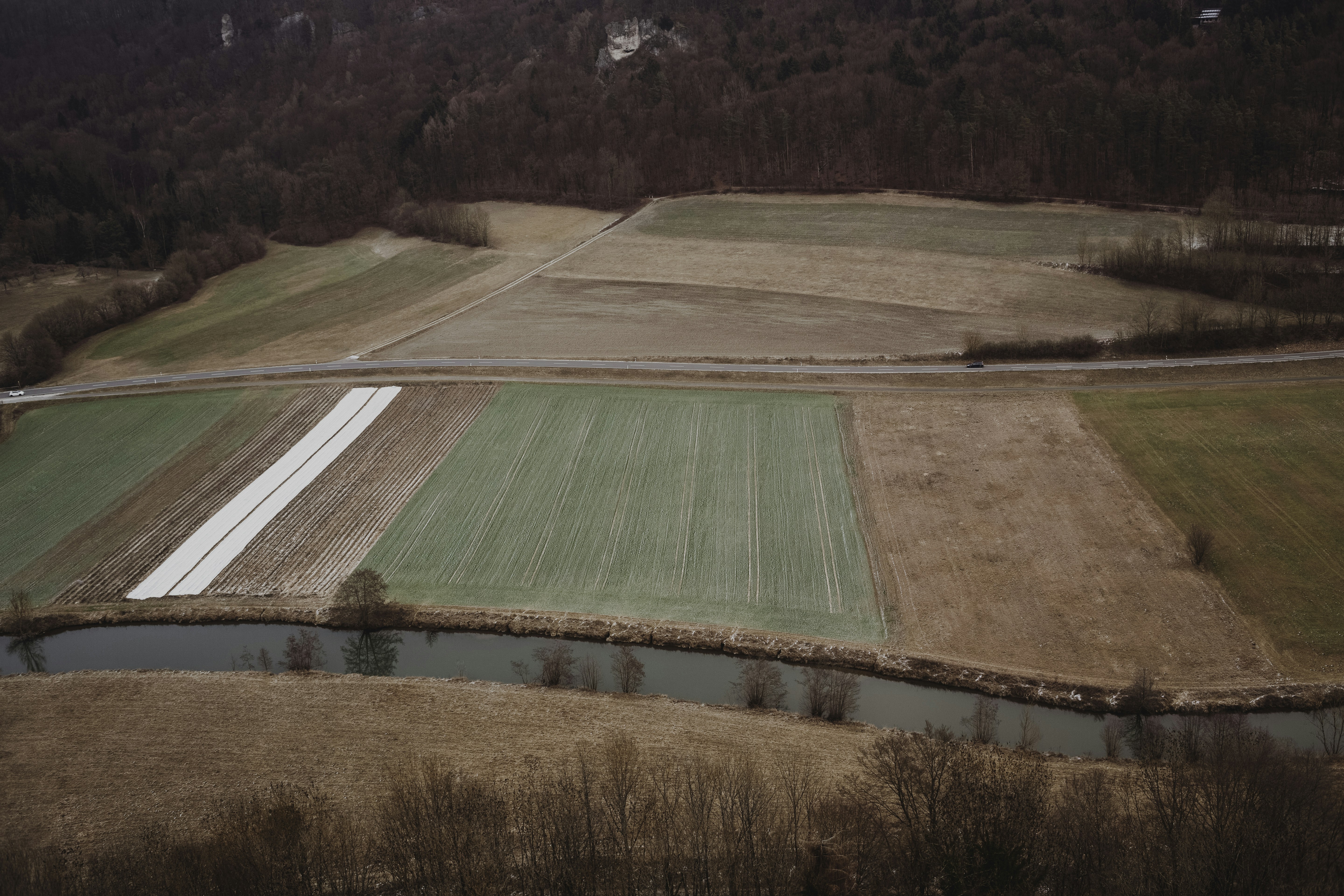 Irrigation Ribbon Across a Patchwork Winter Field