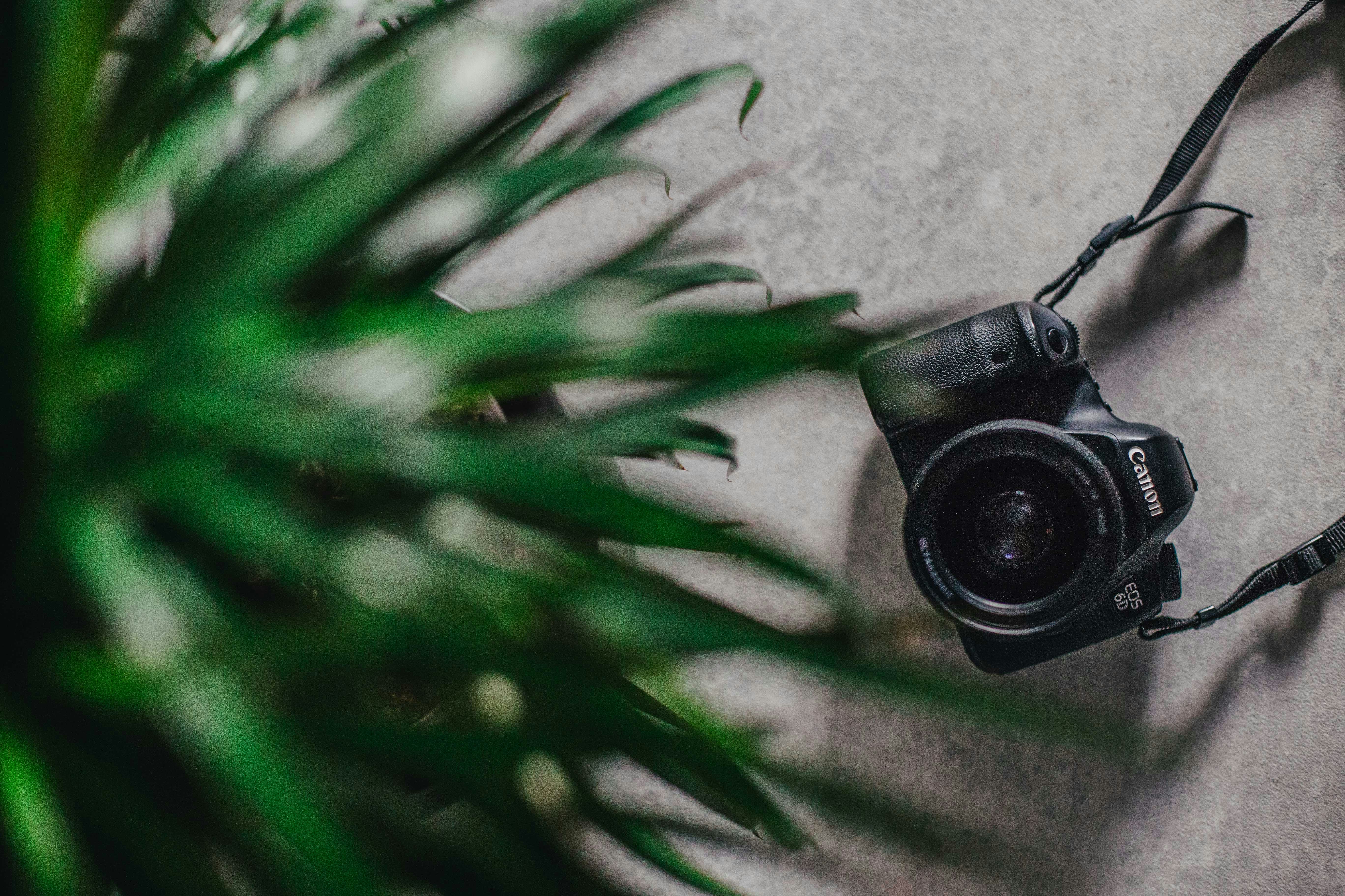 James Bold (@jamesbold) | Unsplash Photo Community