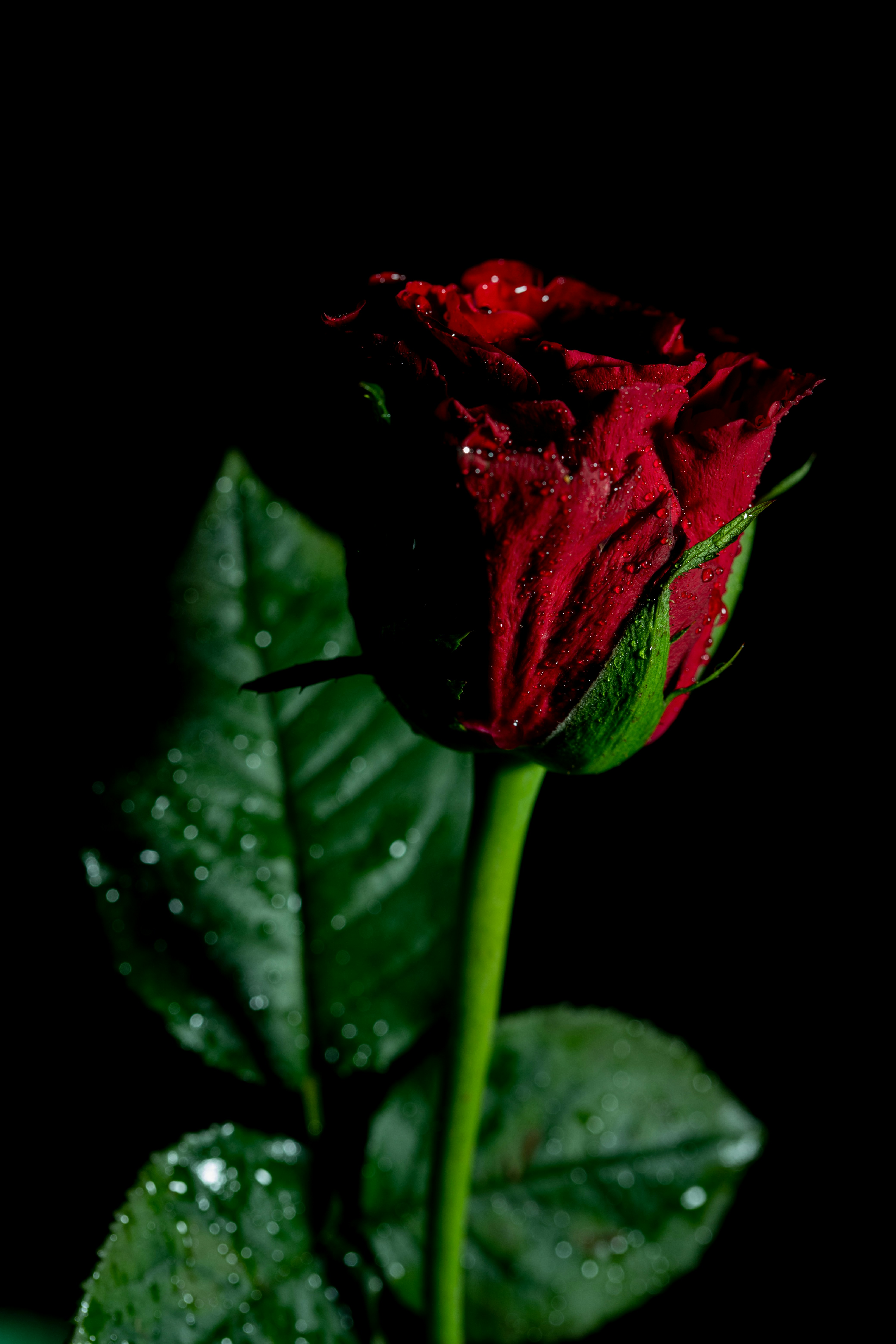 Mariana B. (@mariana42) | Comunidad de fotos de Unsplash