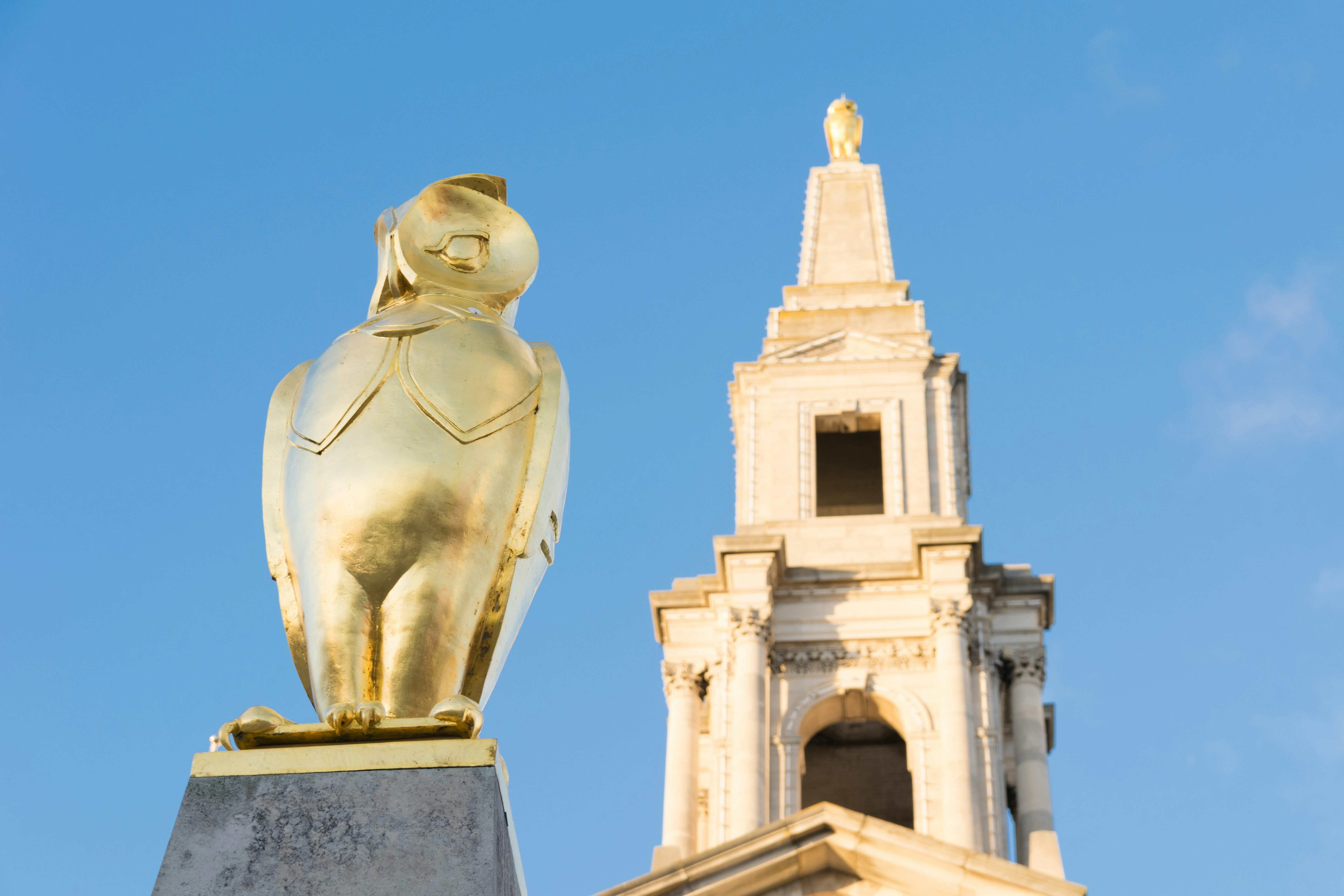 Golden Owl and Tower Harmony