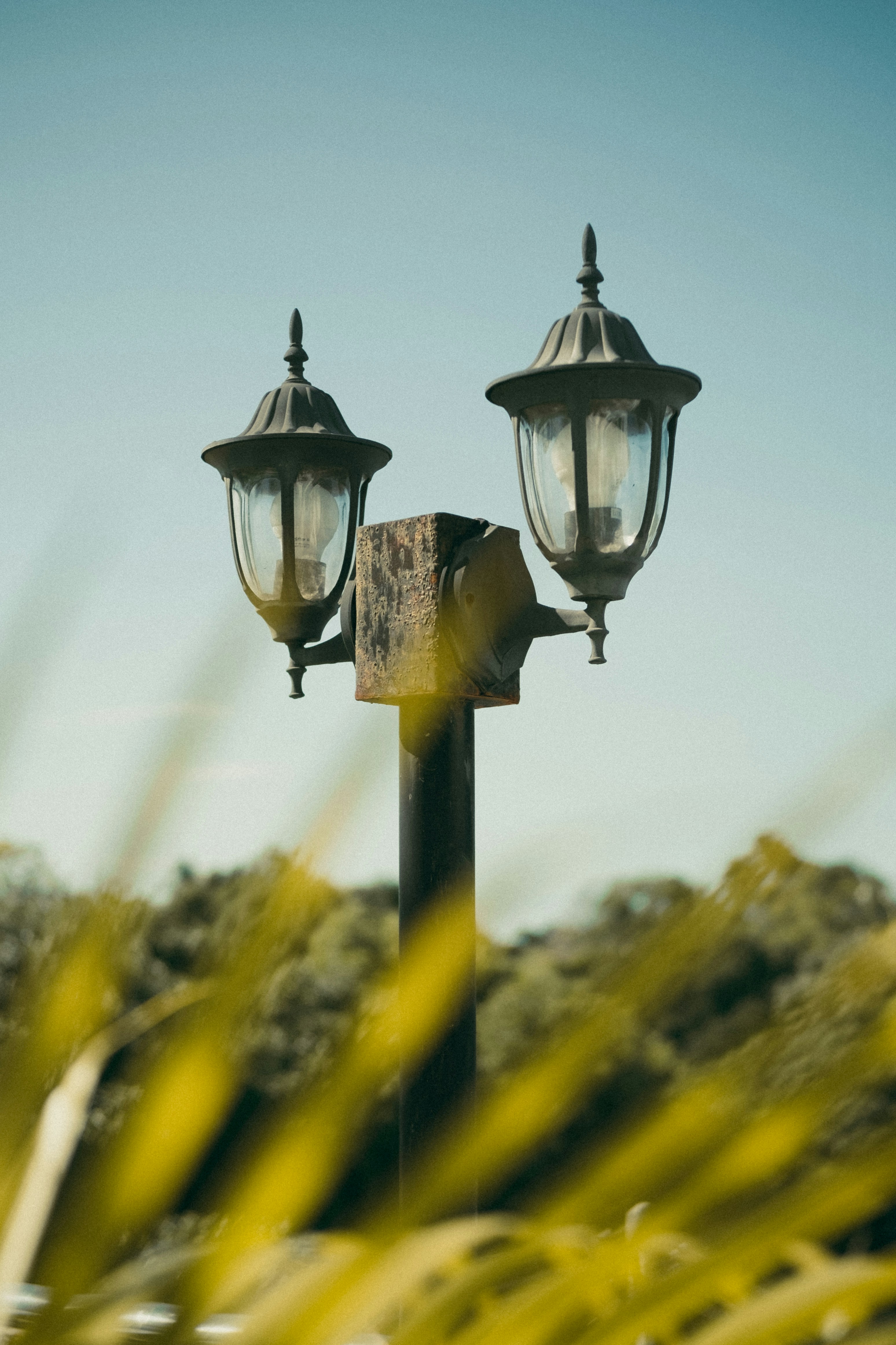 Black lamppost photo – Free Lamp post Image on Unsplash