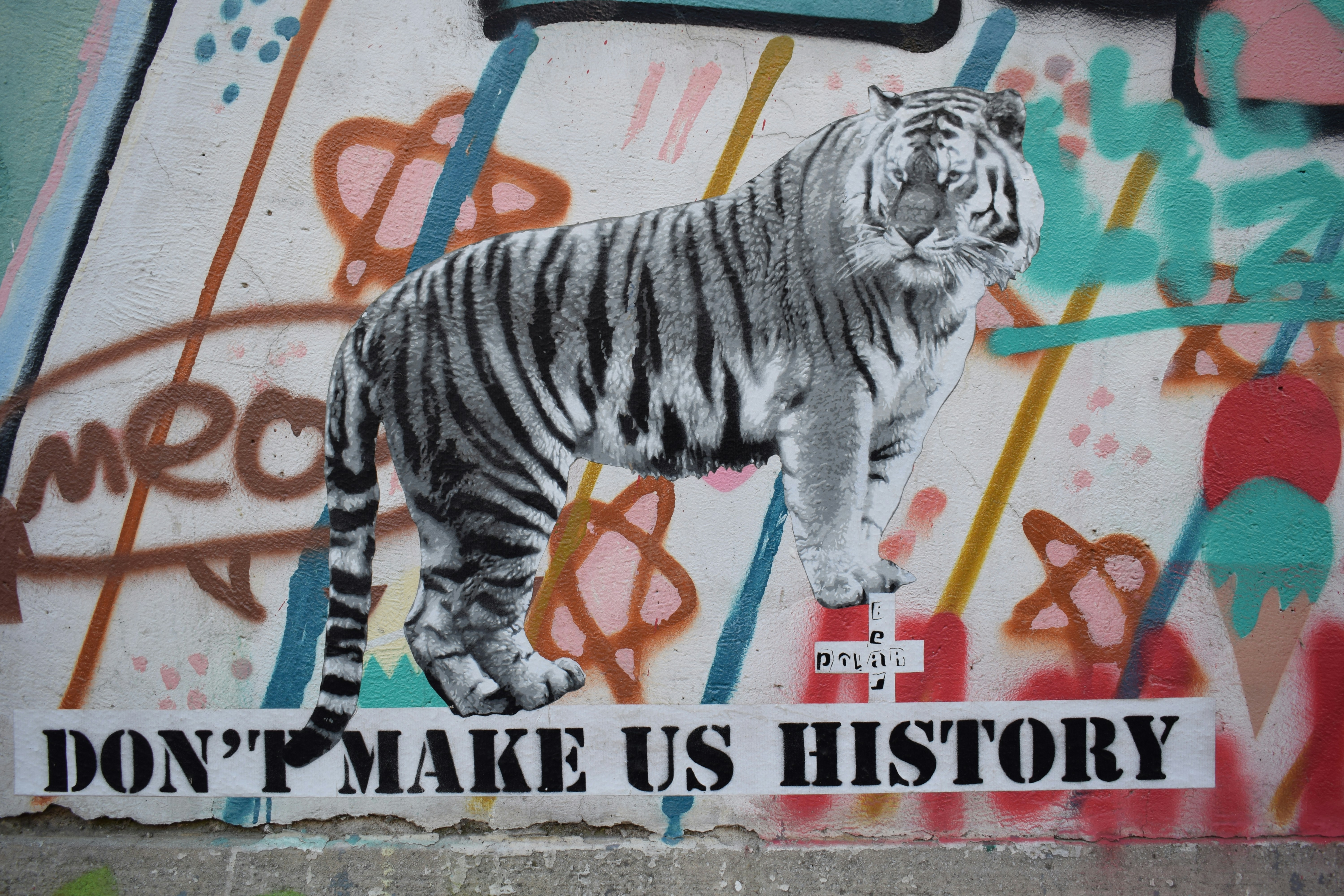 Graffiti Tiger on a Message Wall: A Bold Street Portrait