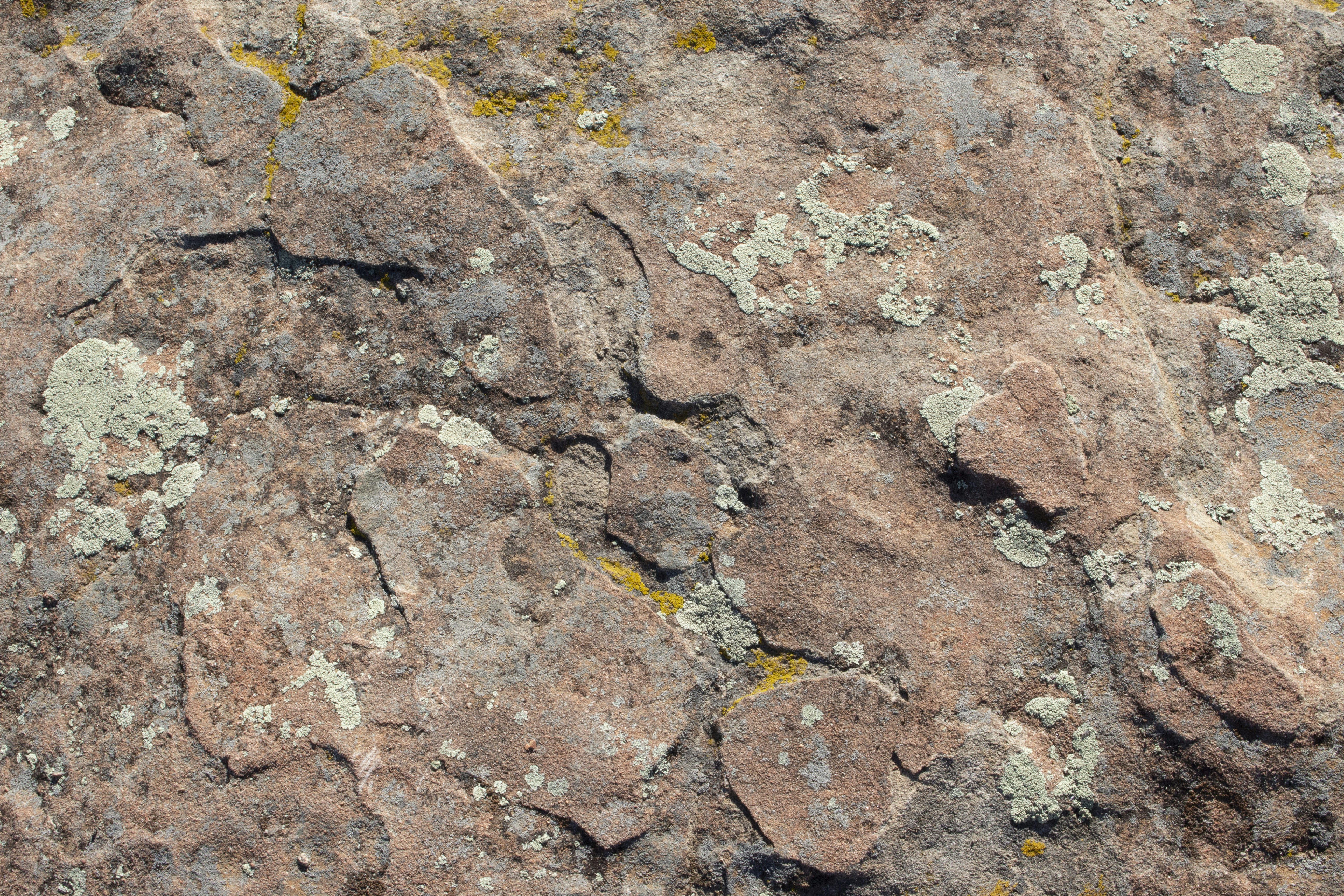 Rock Ground Pictures | Download Free Images on Unsplash