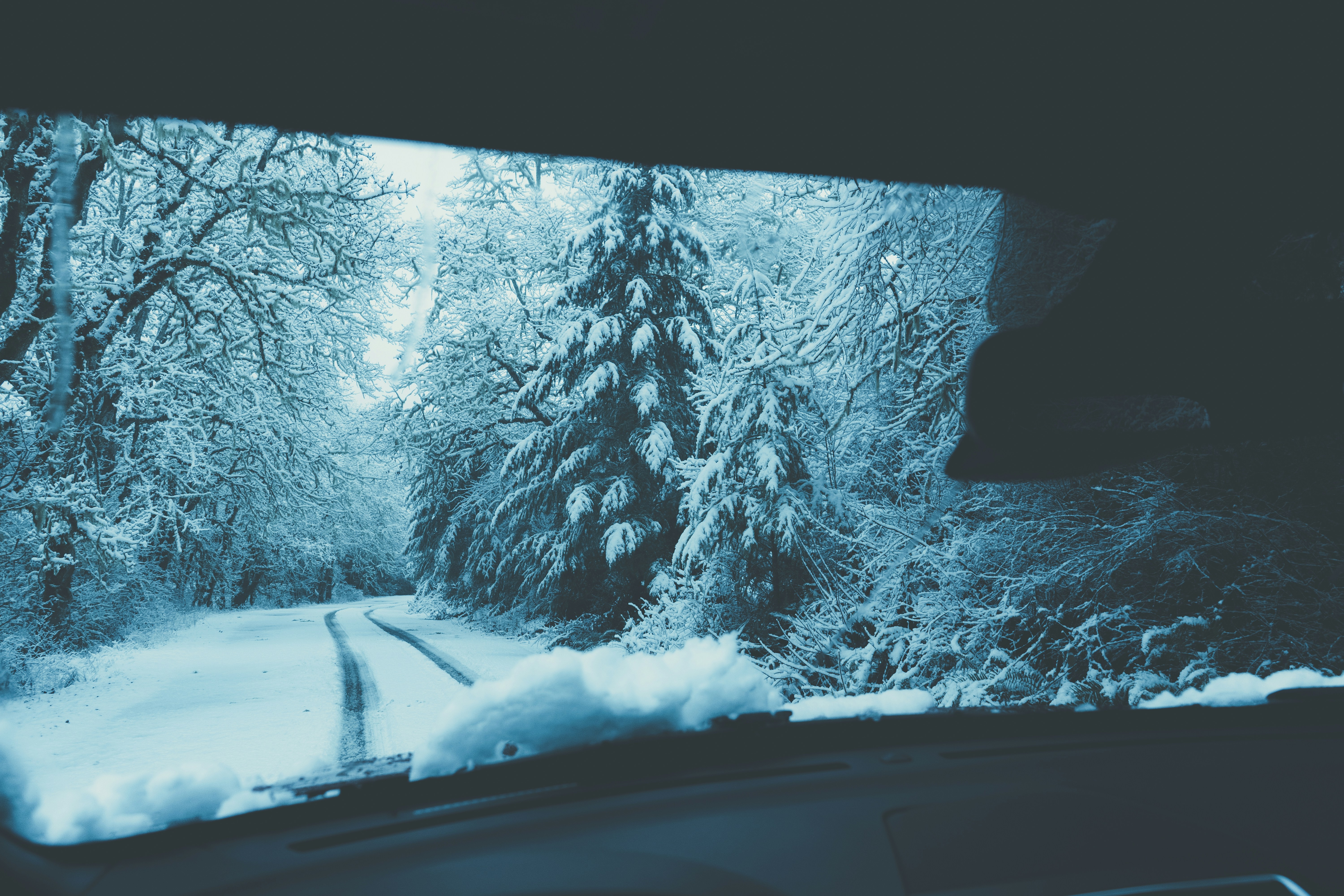 Snow-covered road and trees viewed from inside a car.