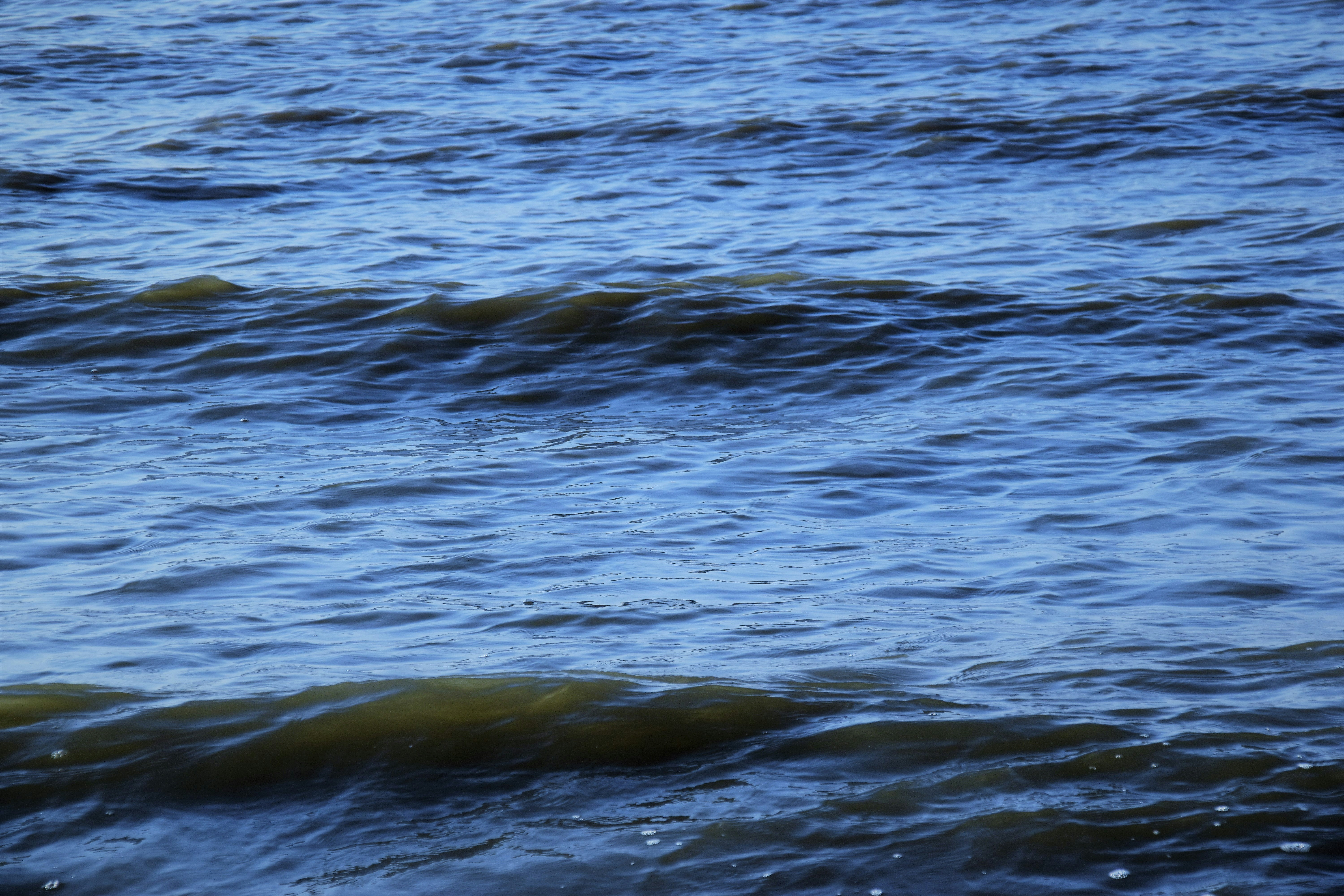 Photo by Waldemar Brandt with Nikon D5600